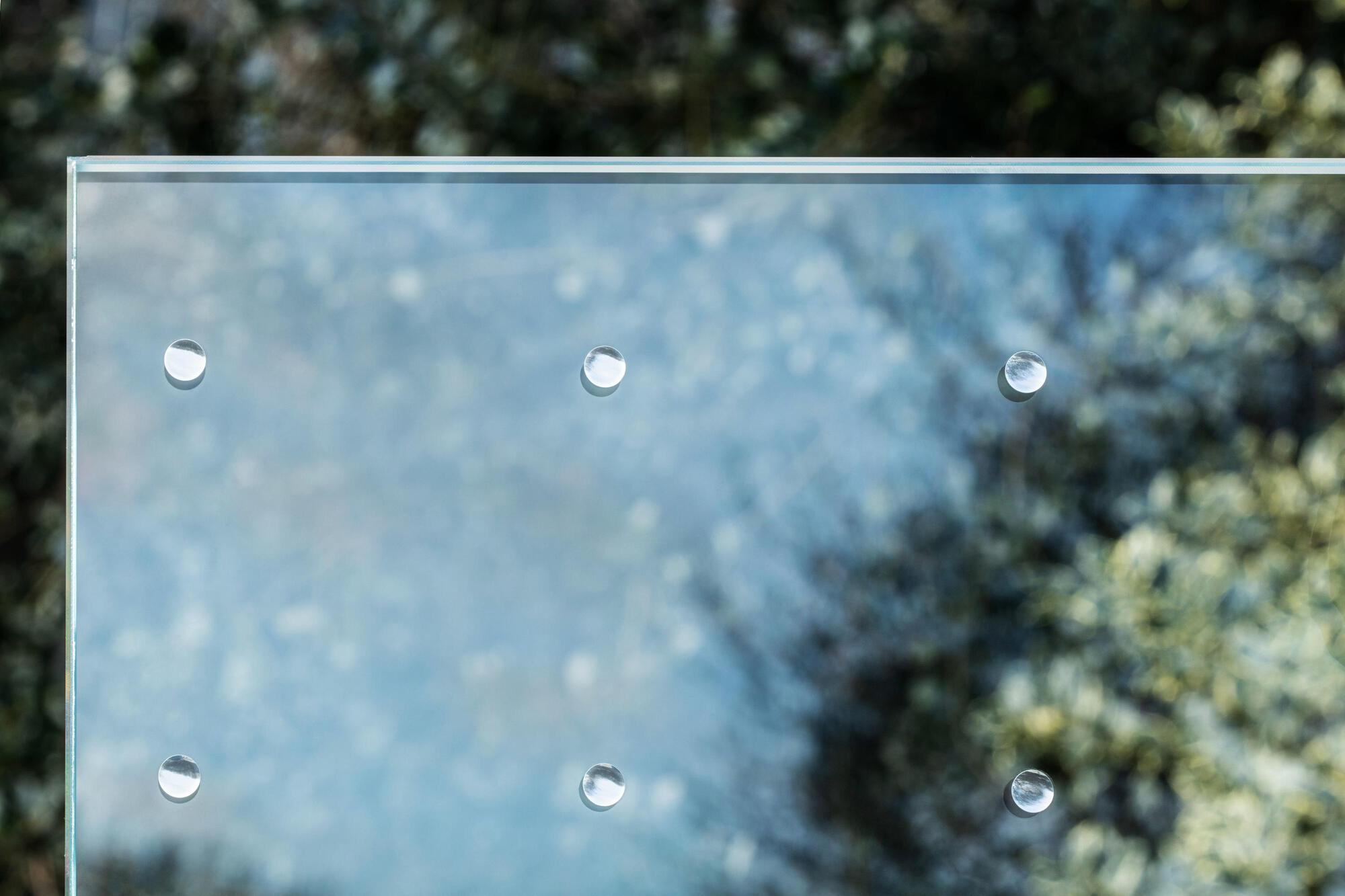 Gallery of Making Buildings Bird-Friendly with Safety Glass - 6