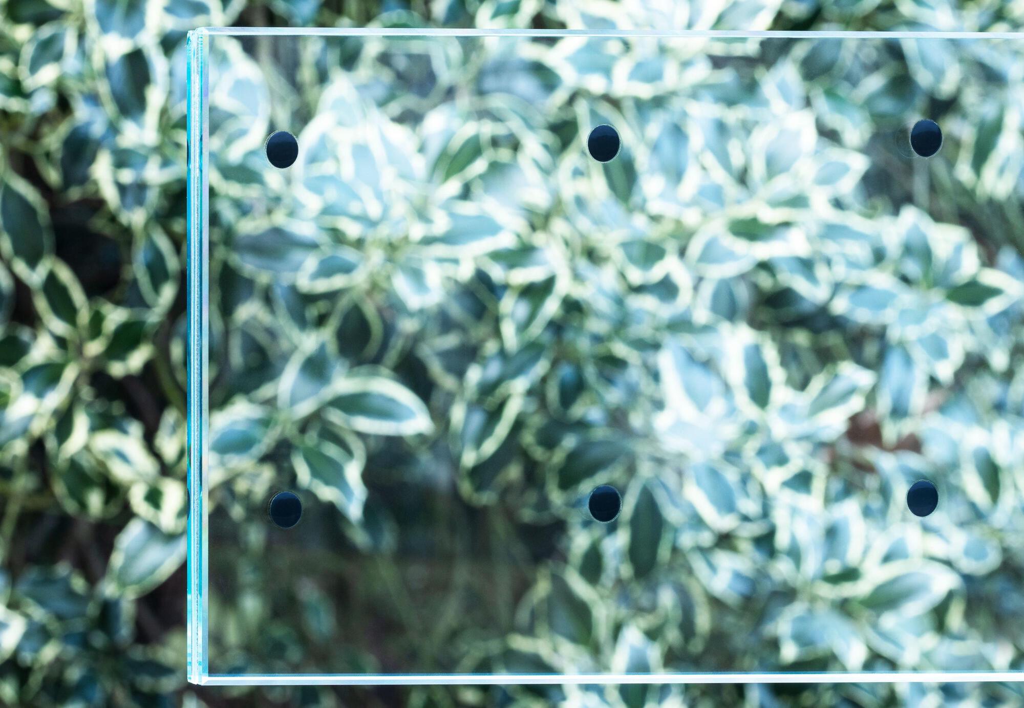 Gallery of Making Buildings Bird-Friendly with Safety Glass - 4