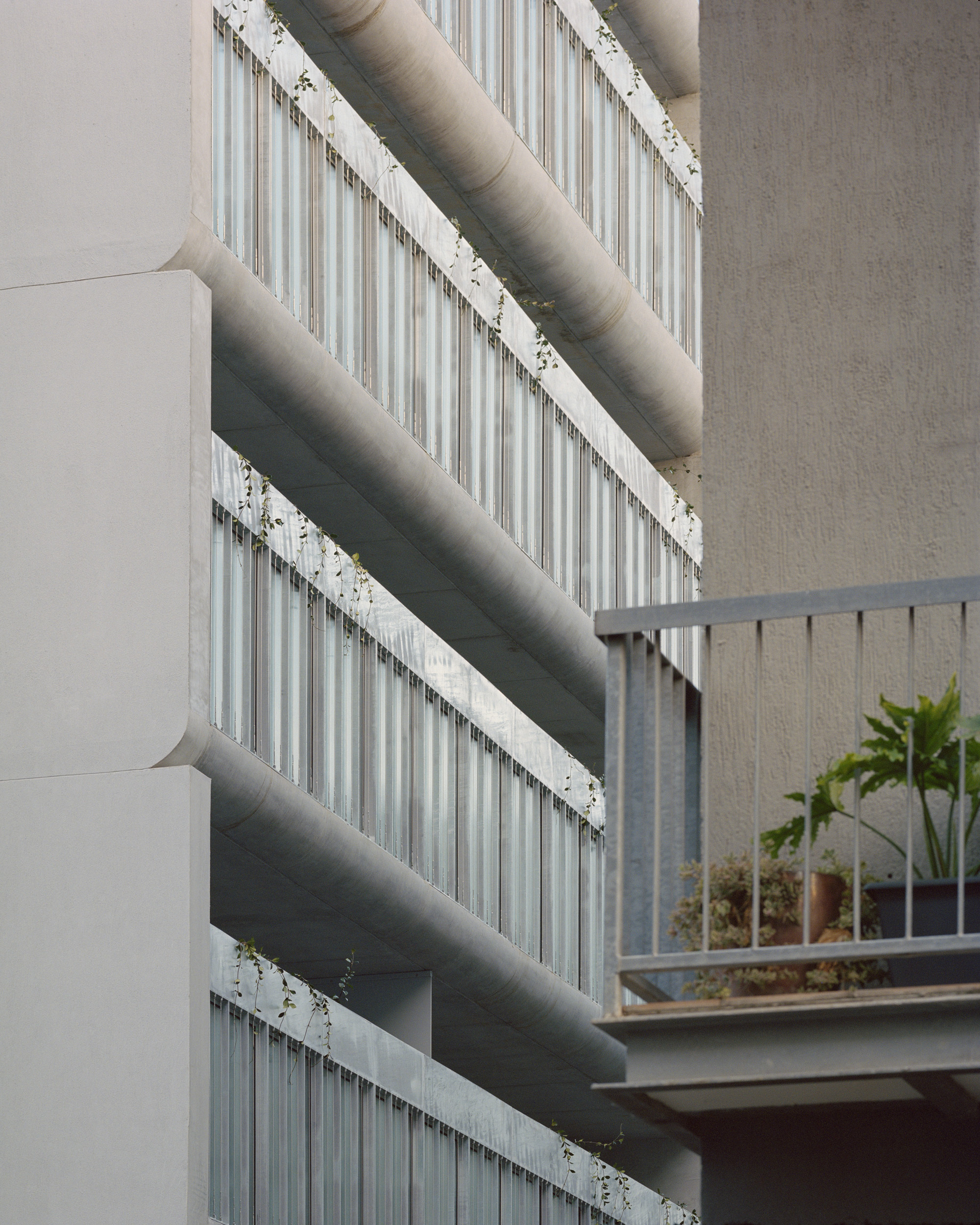 Gallery of 231 Napier Street Residential Building / Edition Office - 20