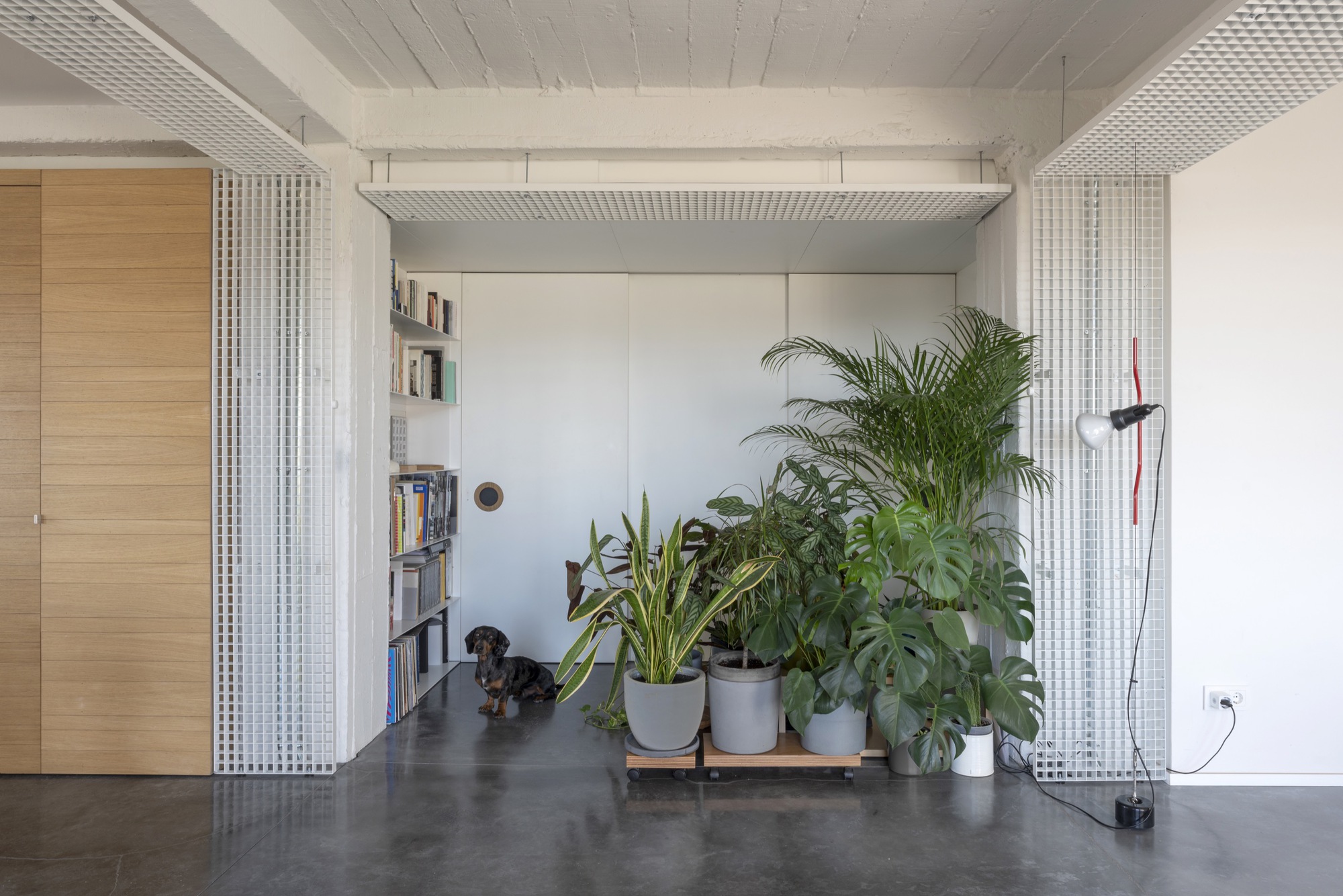 Gallery of Non-Binary Space Apartment / Pachon-Paredes - 14