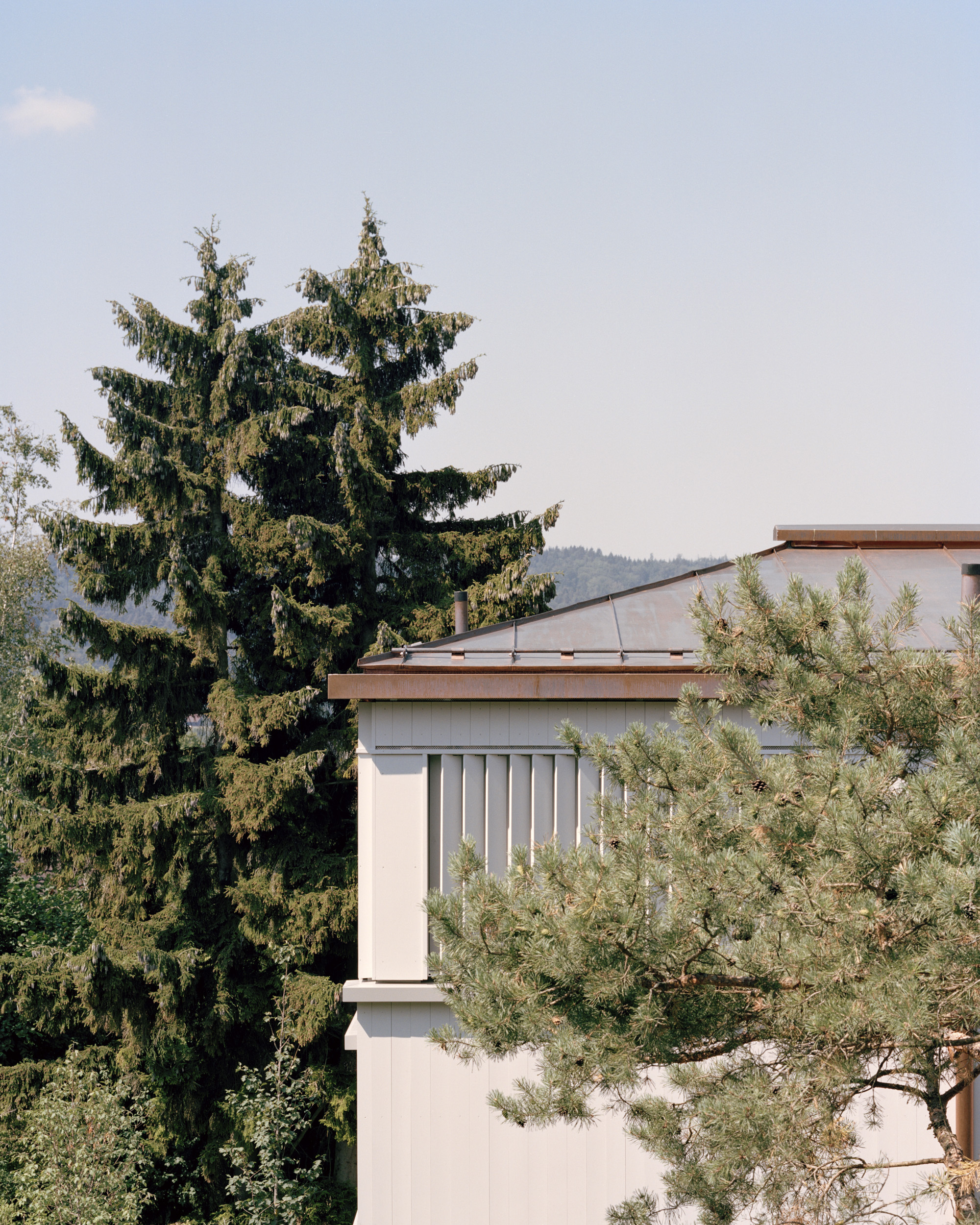 Gallery of DOW House D / Dettling Architekturstudio - 9