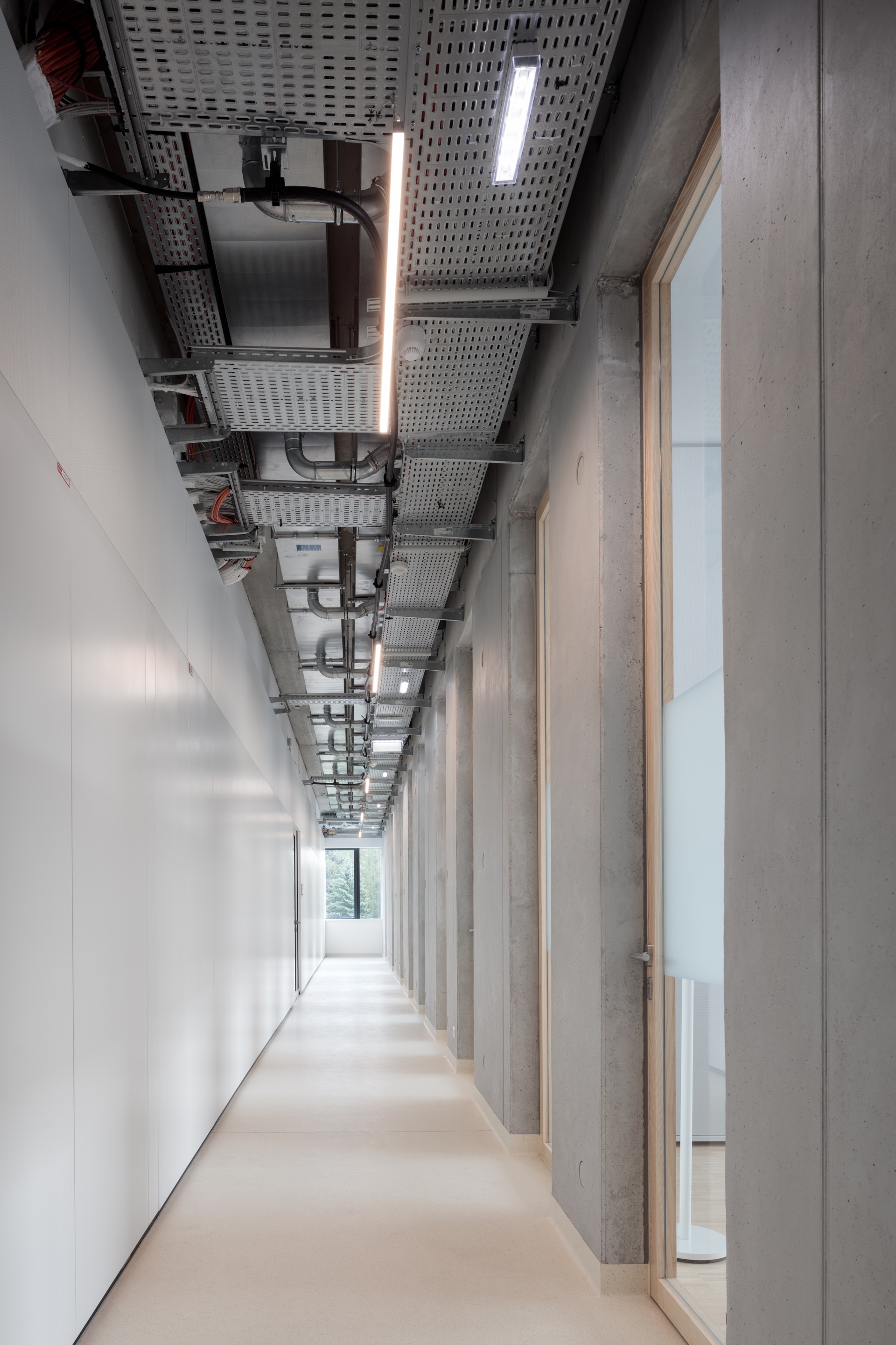 Gallery of IST Austria Chemistry Lab / Franz&Sue - 19