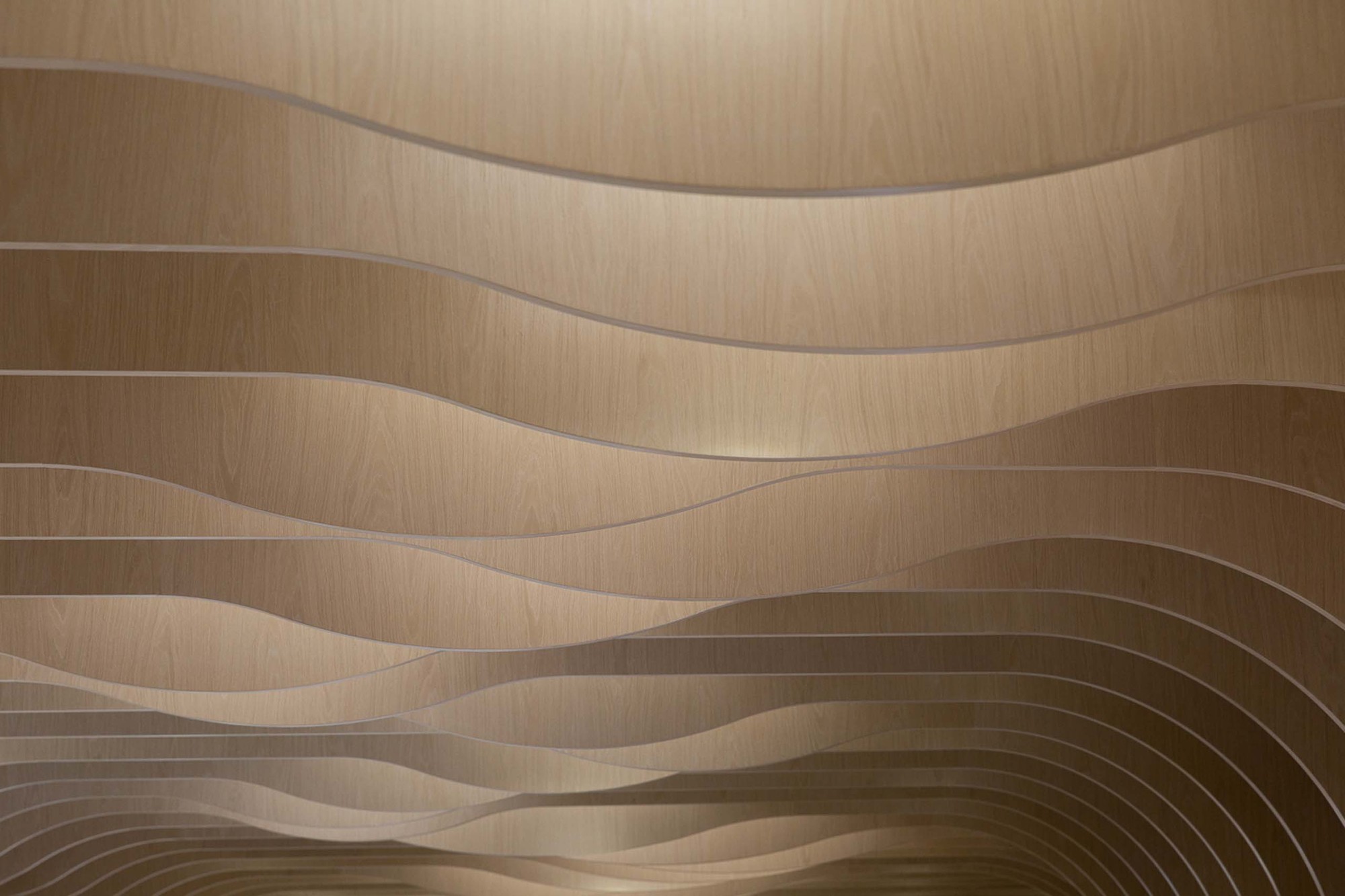 Gallery of Langham Beauty / Linehouse - 14