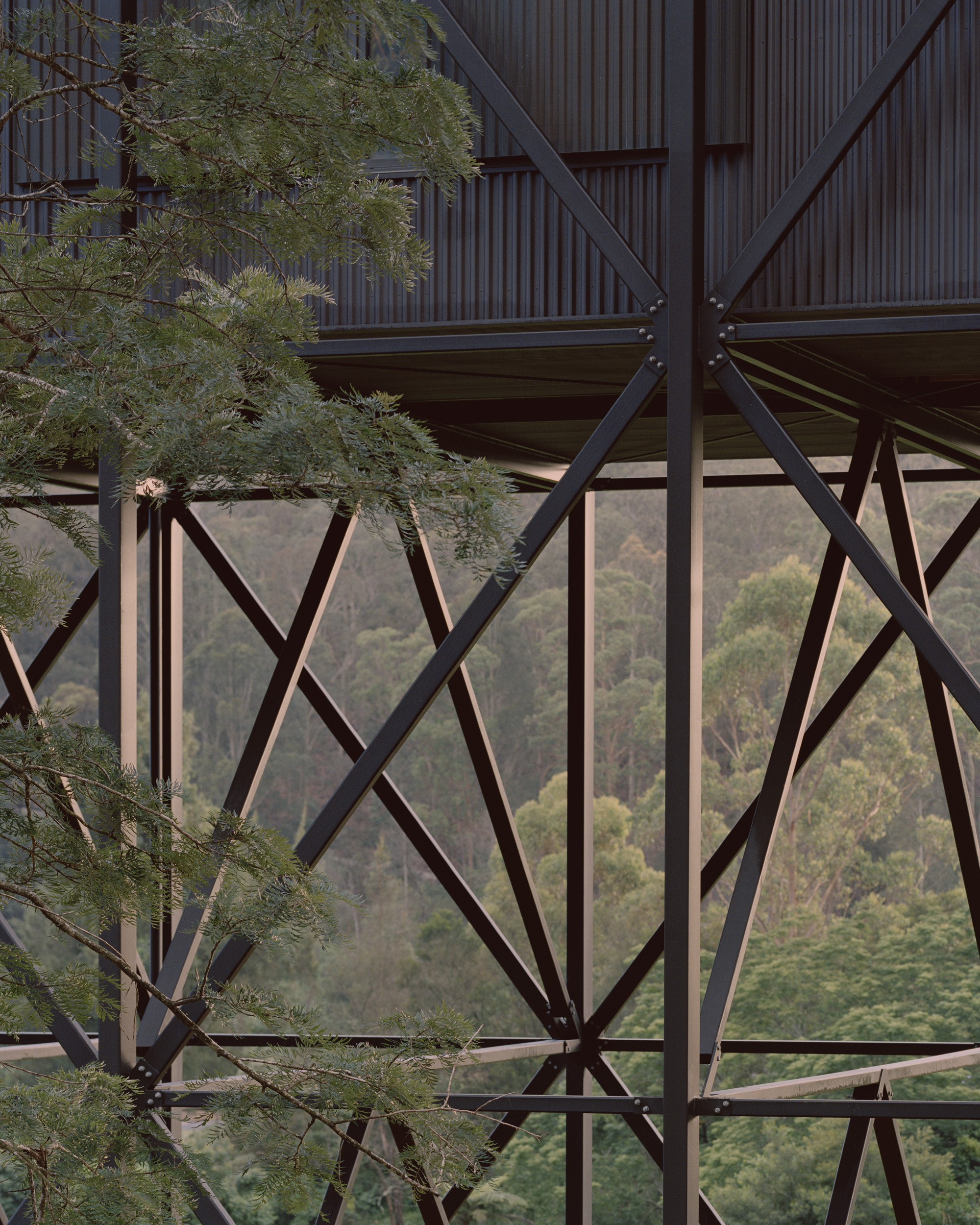Gallery of Bundanon Art Museum & Bridge / Kerstin Thompson Architects - 17