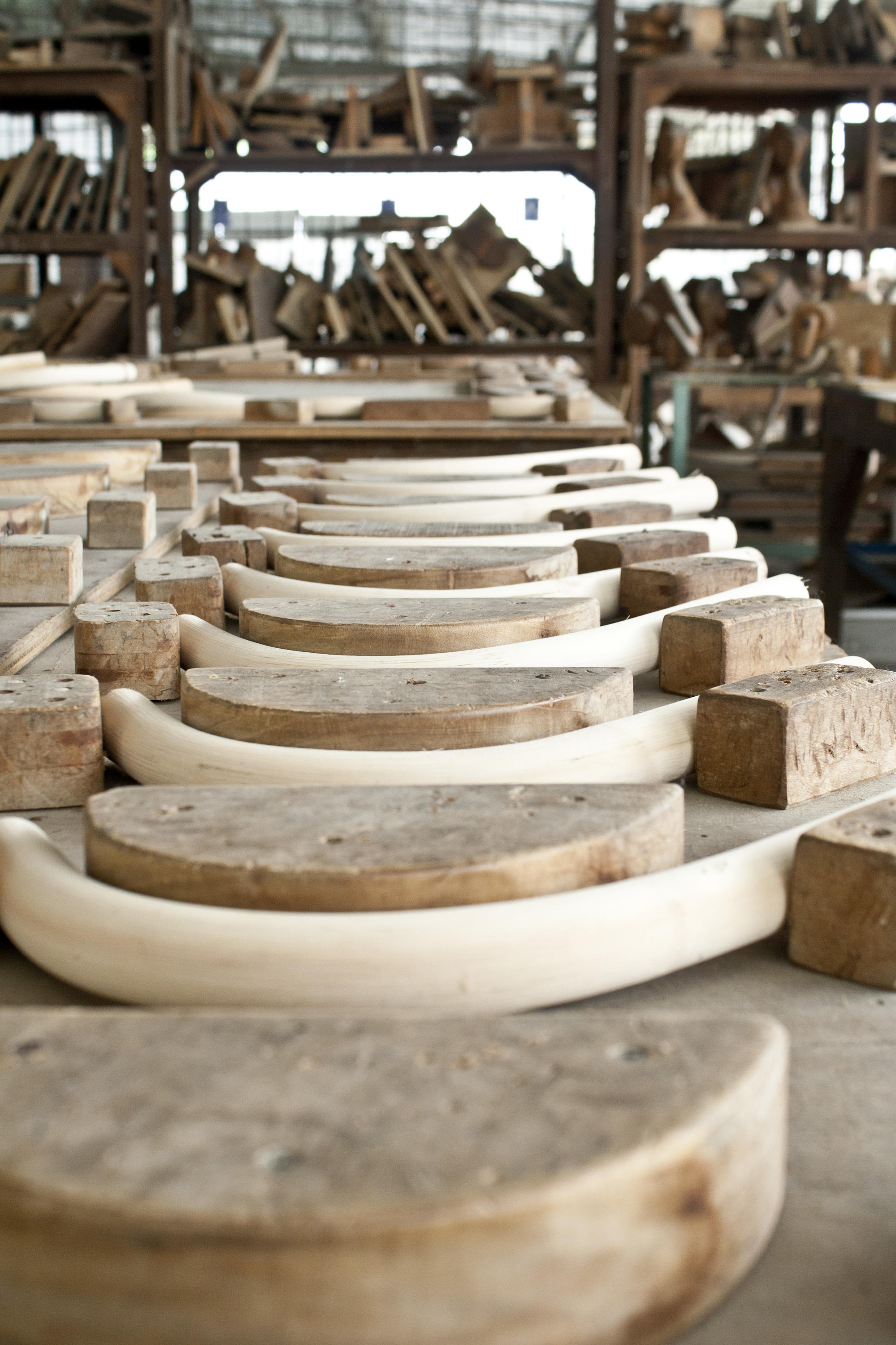 Gallery of Life in the Slow Lane with Lento Furniture - 2