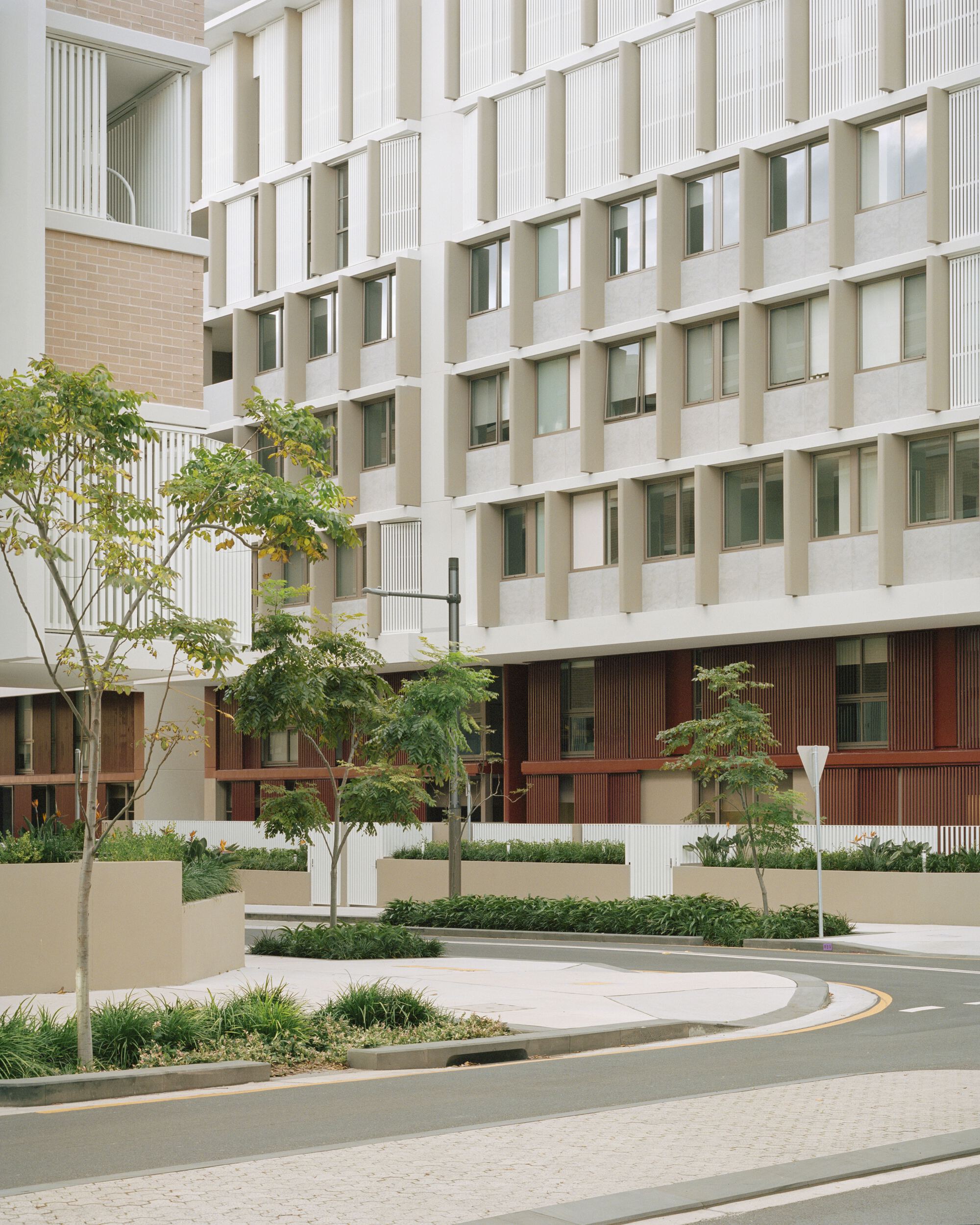Gallery of Botany Road Residential Complex / Candalepas Associates - 5