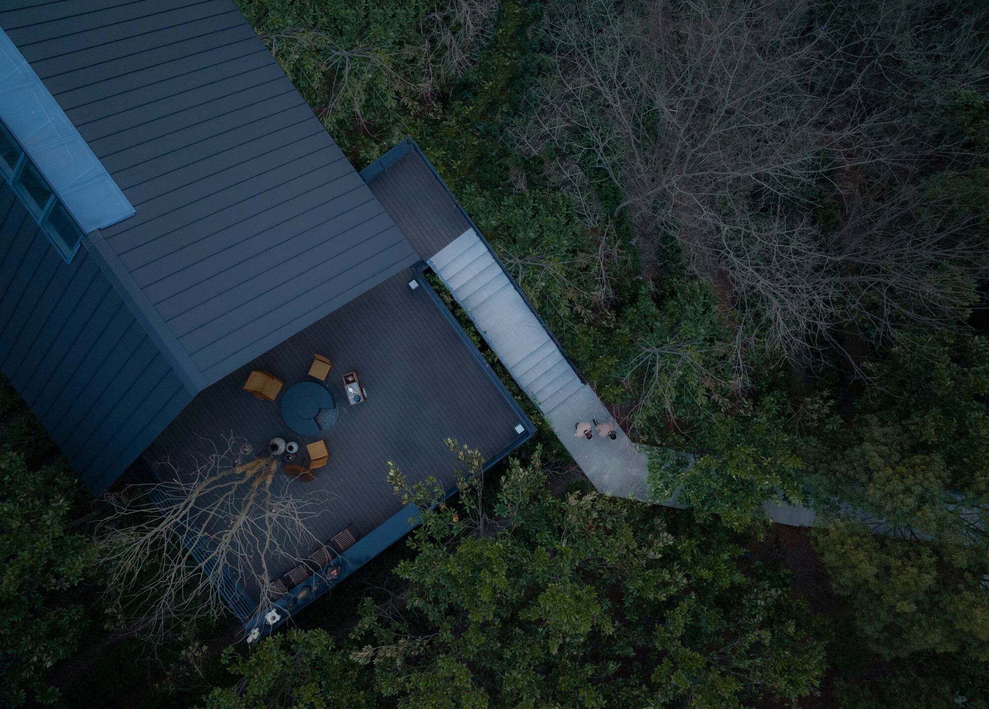 Gallery of Forest Tea House / Mix Architecture - 11