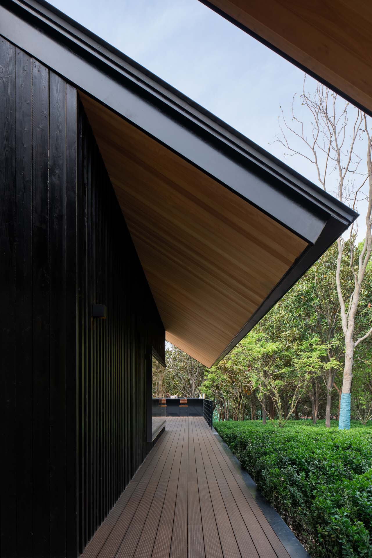 Gallery of Forest Tea House / Mix Architecture - 16