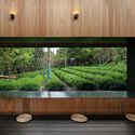 Forest Tea House / Mix Architecture | ArchDaily