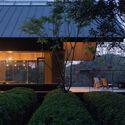 Forest Tea House / Mix Architecture | ArchDaily