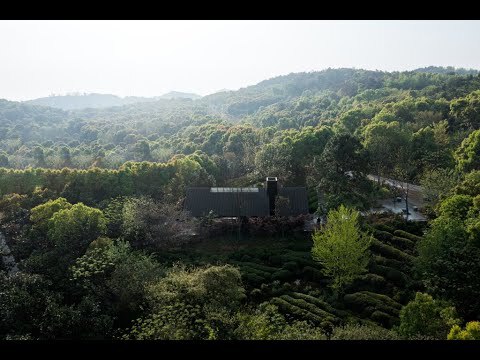 Gallery of Forest Tea House / Mix Architecture - 22