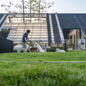 Dog / Human House / EKAR | ArchDaily