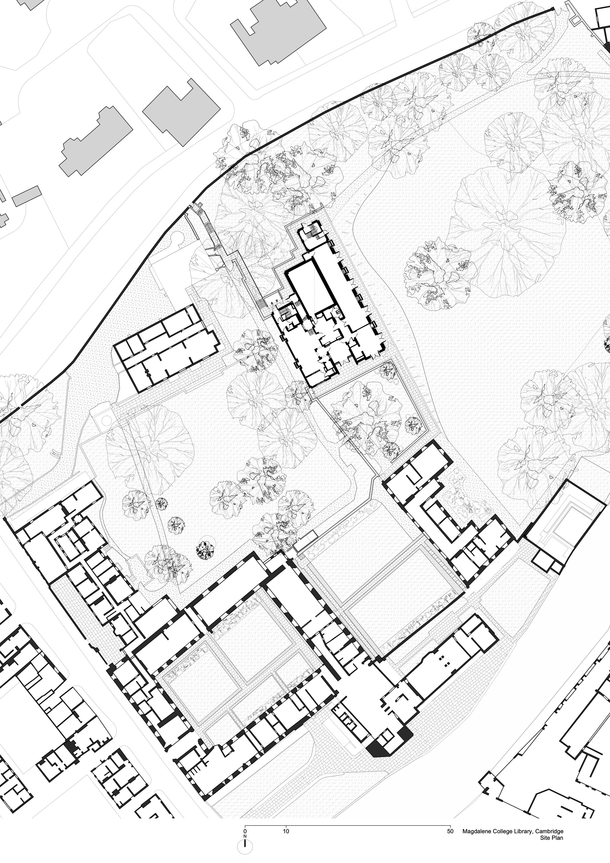 Gallery of Magdalene College Library / Niall McLaughlin Architects - 37