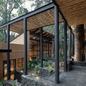 Patio House / herchell arquitectos | ArchDaily