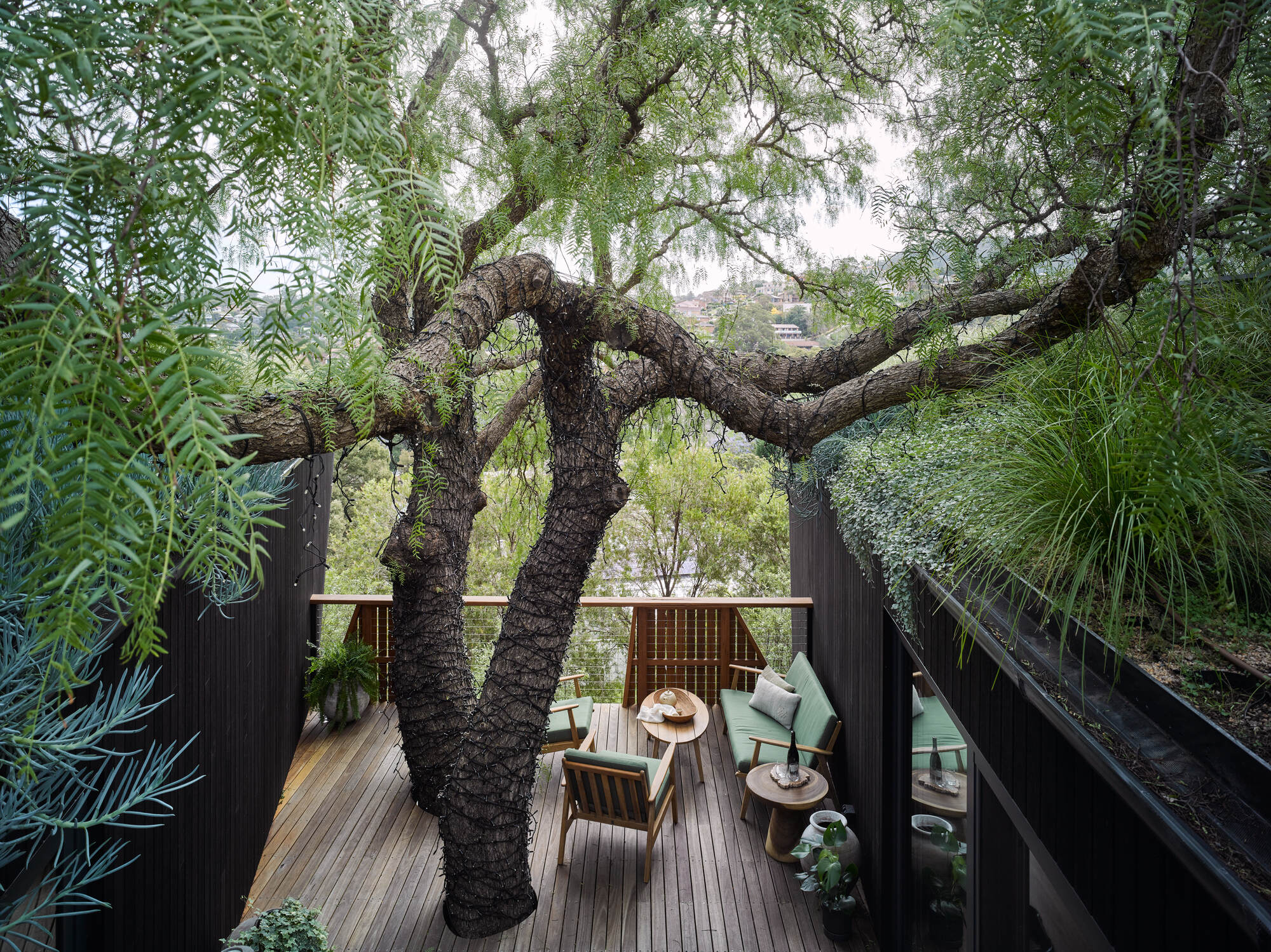 Gallery of Pepper Tree Passive House / Alexander Symes Architect - 16