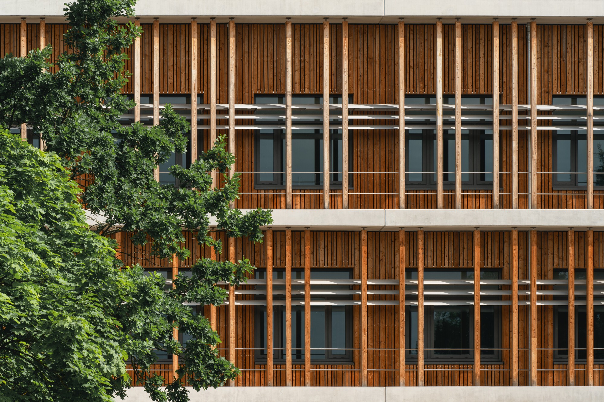 Gallery of Sustainable Chemistry Technical University of Munich ...