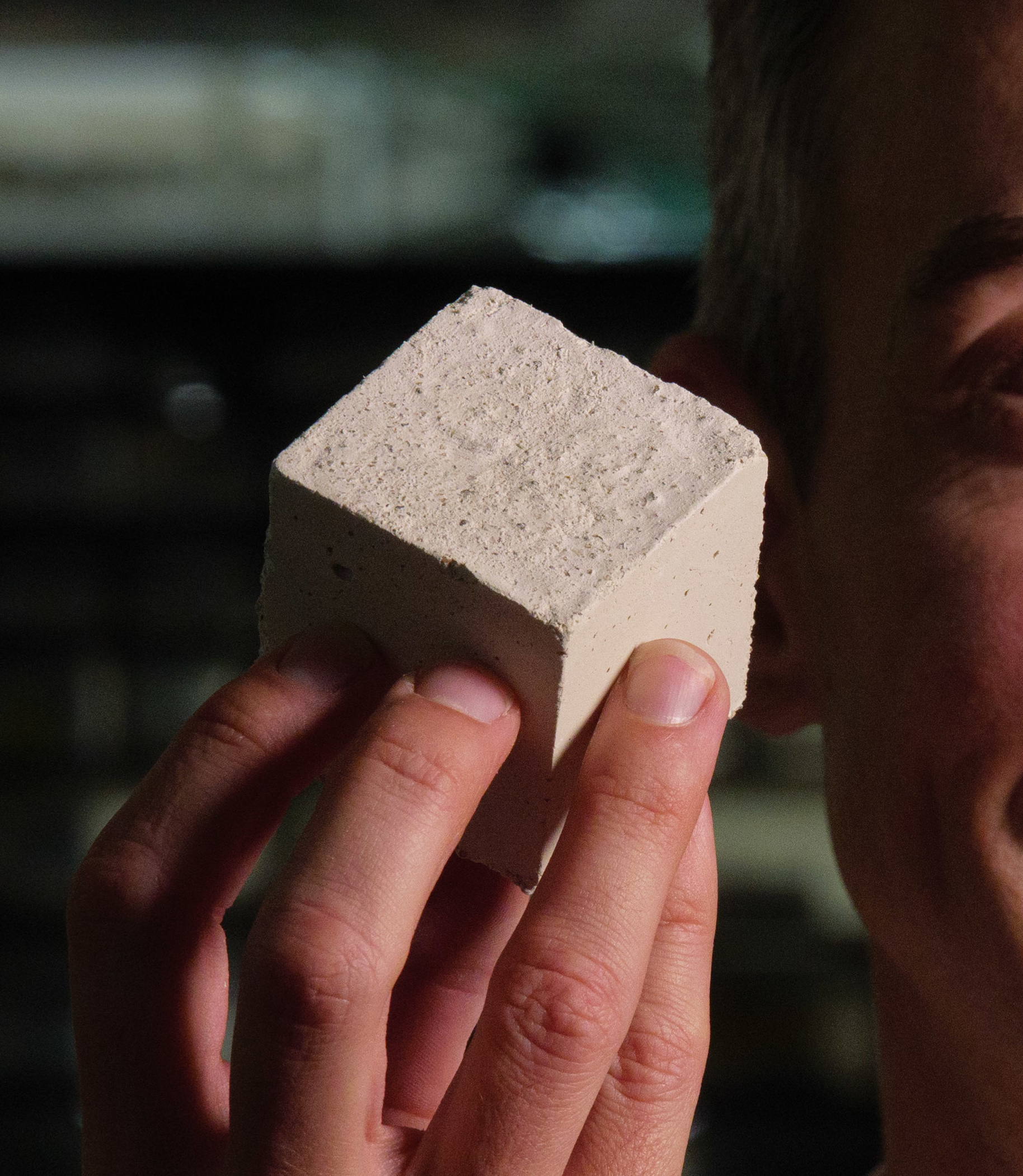 Gallery of From Bio Materials to Load-Bearing Structures: Fungi, Algae ...