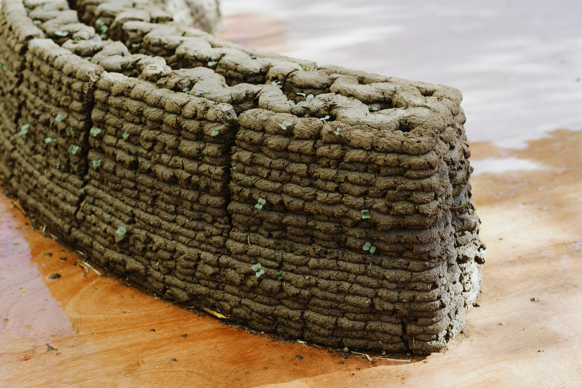 Gallery of The Future of Architecture: Imagining a World Where ...