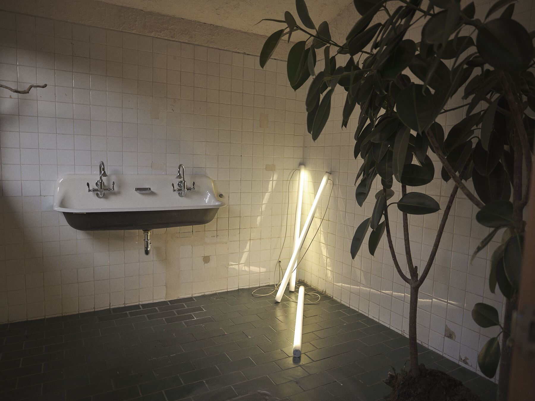 Galería de Ecosistema doméstico / Augusta Pastor + Santiago Roose - 8