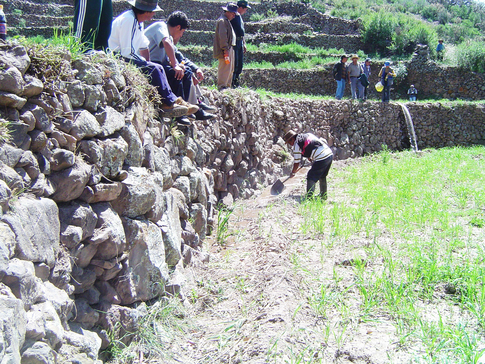Galería de Andenes y terrazas: infraestructuras naturales y paisajes ...