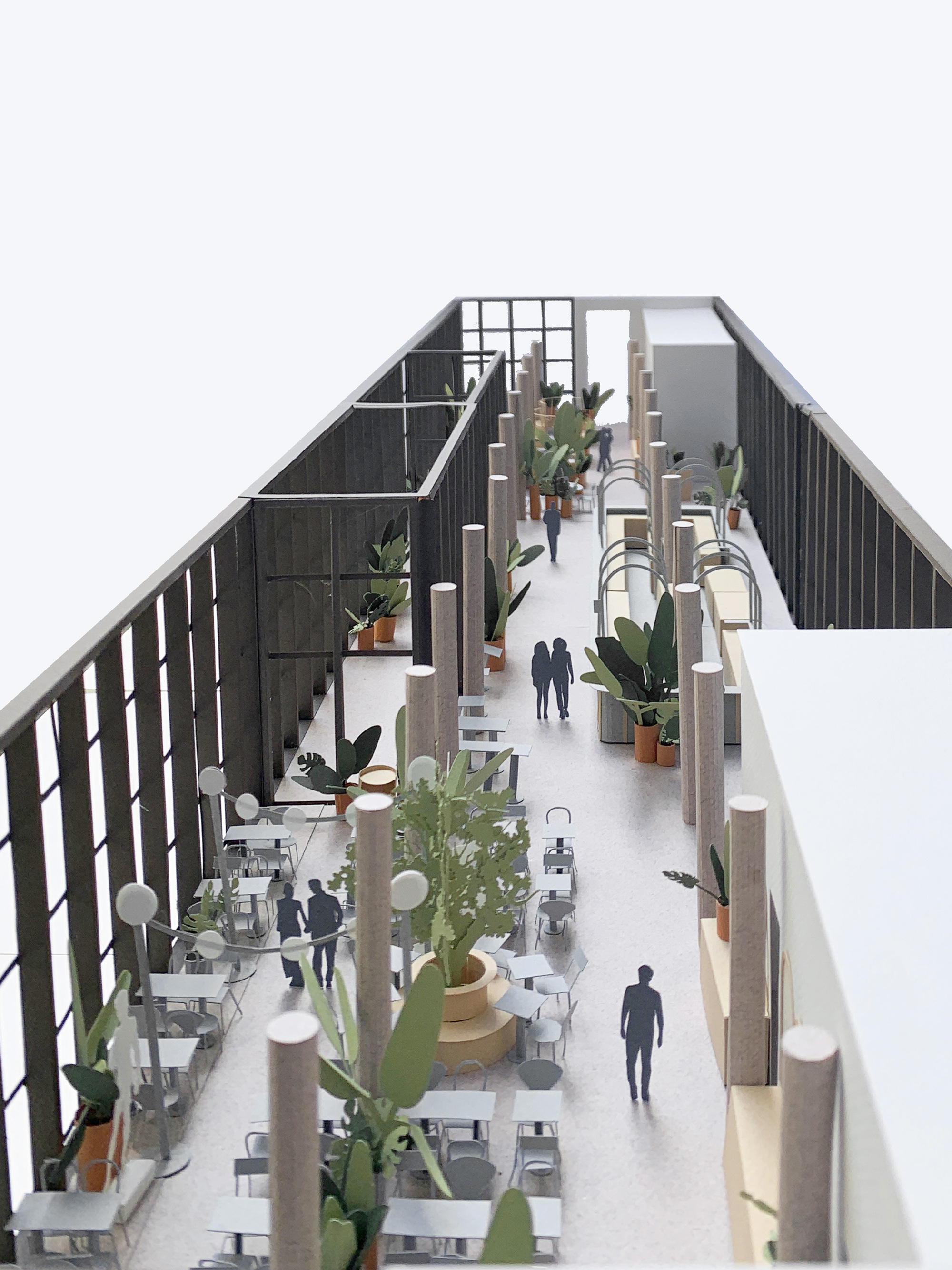 画廊 50 米长连续空间，TiTi Palacio 餐厅 / Atelier olk - 23