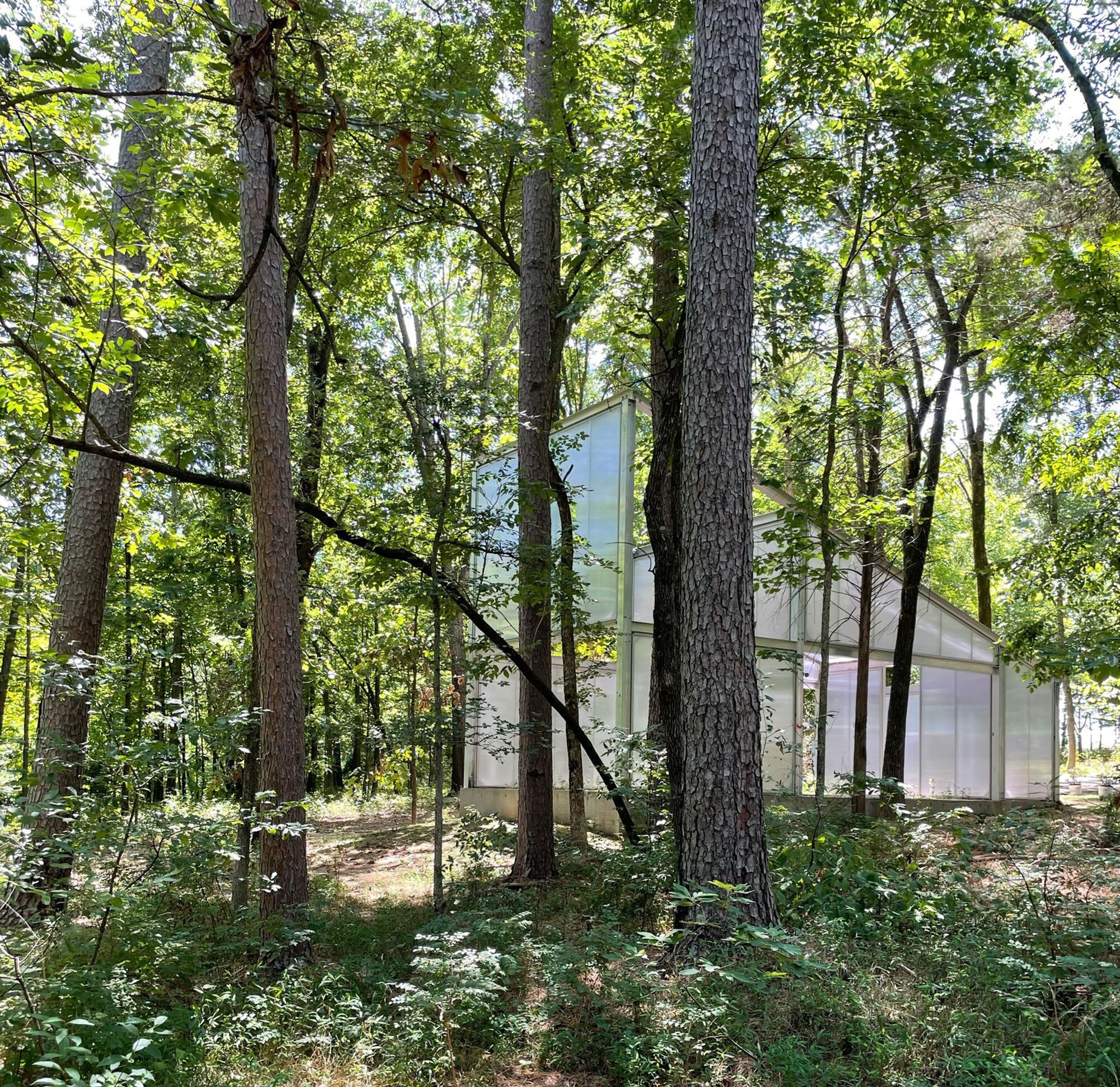 Gallery of Infinite Openness / PPAA - 1