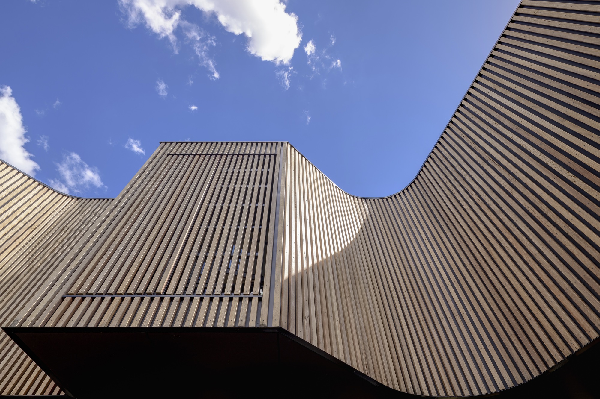 Gallery of Finn Street House / Ben Walker Architects - 16