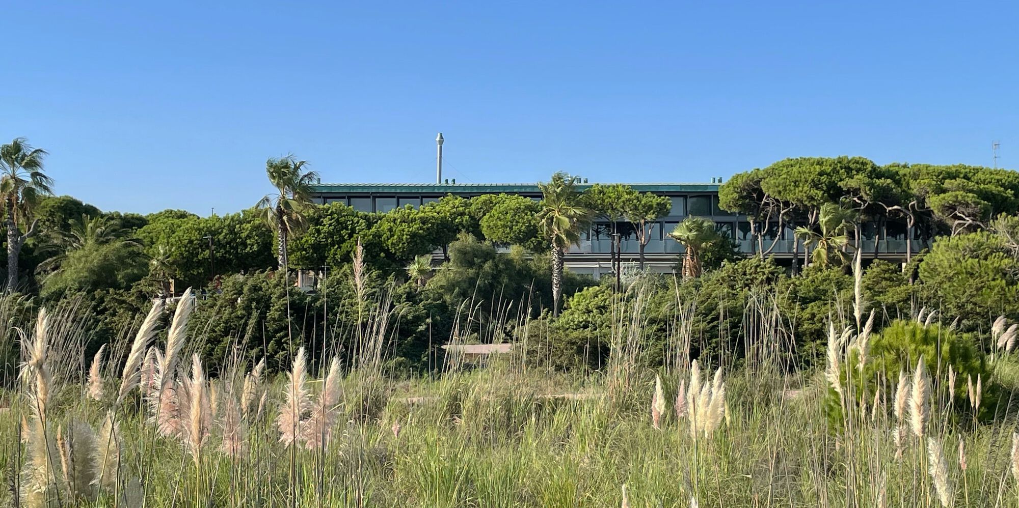 Gallery of Gava Beach House/ Roman Izquierdo Bouldstridge - 6