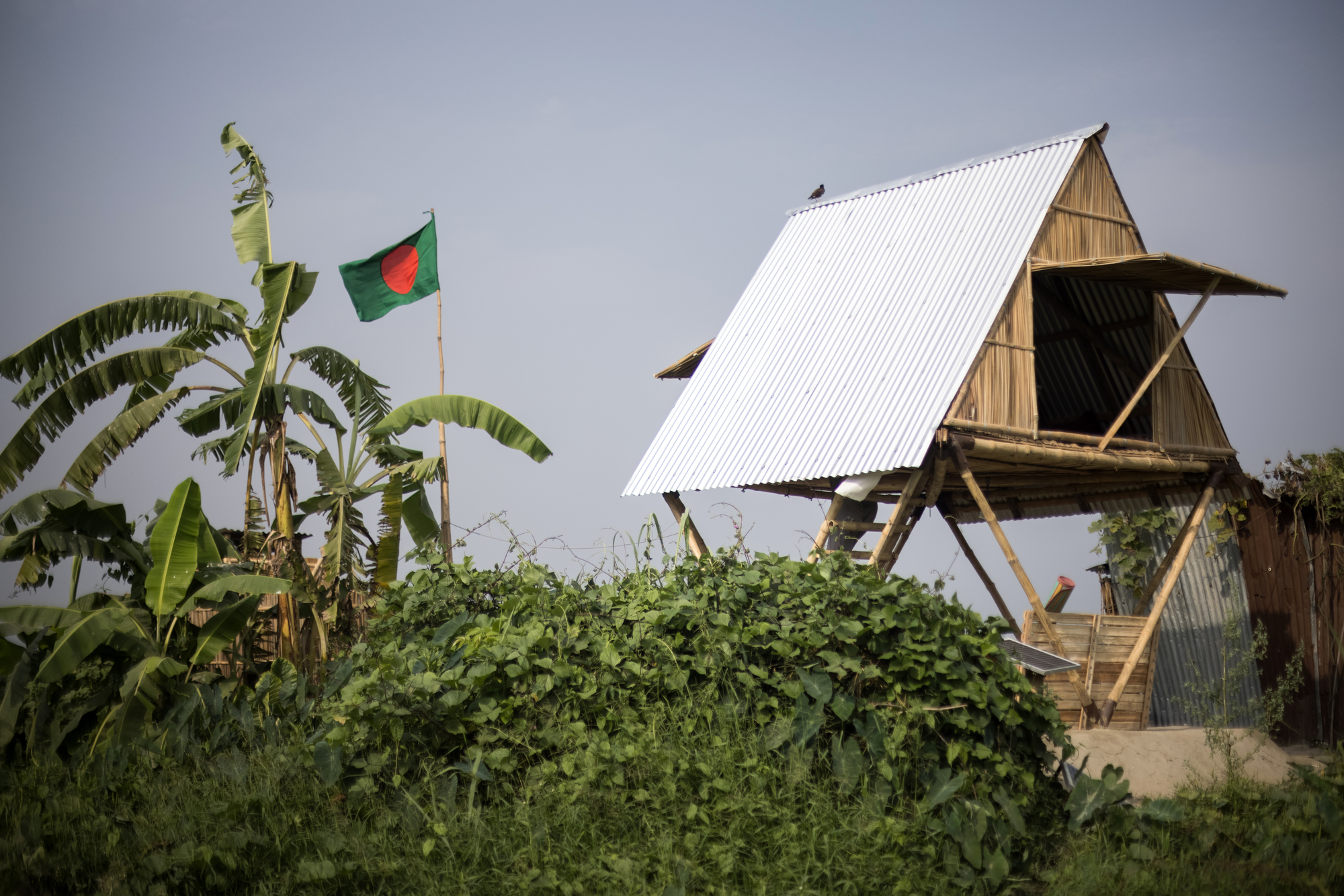 Gallery of What Role Should Architectural Prototypes Play in the Global ...