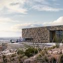 What Is a Dry Garden? Tips for Implementing One | ArchDaily