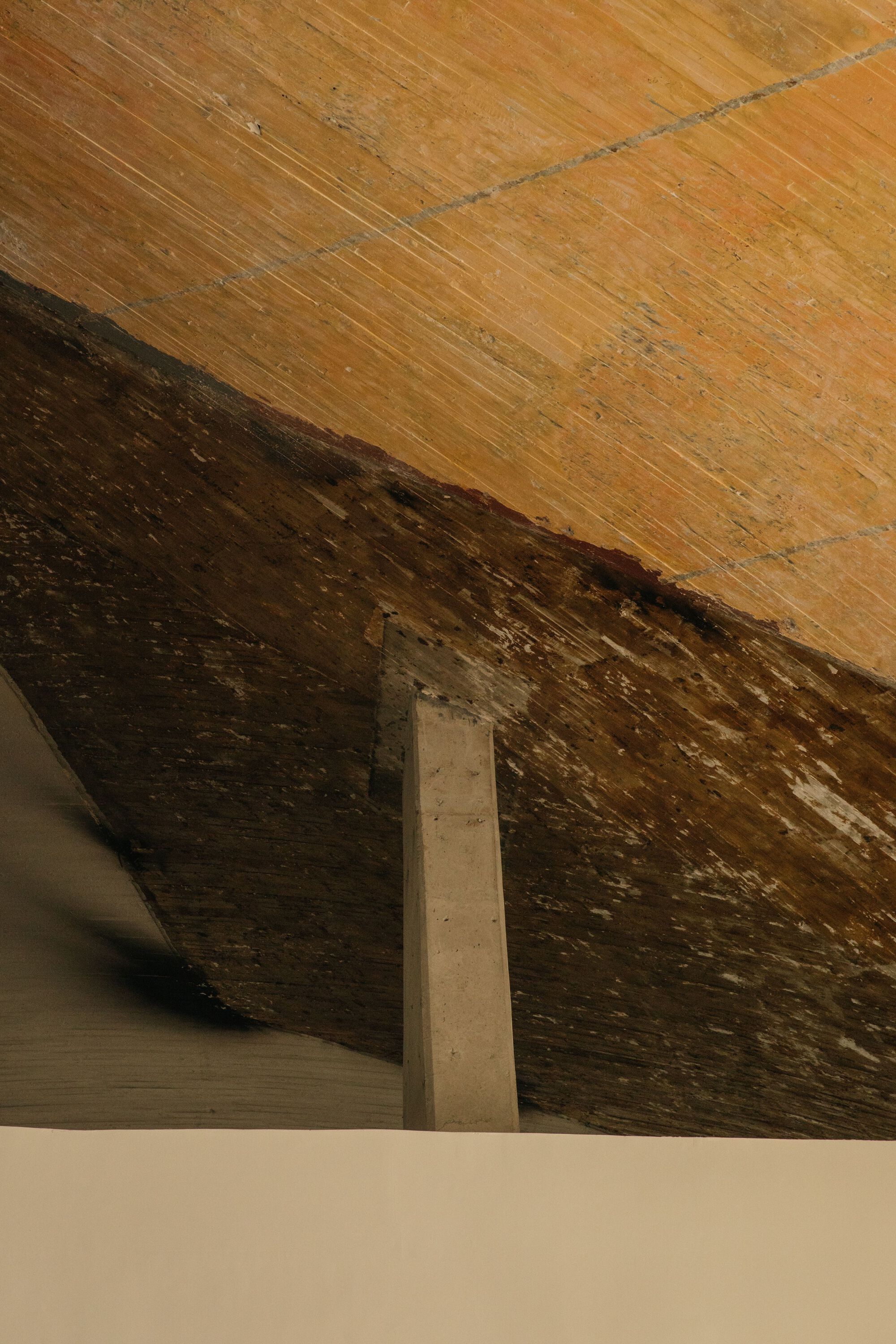 Galeria de Centro Cultural Lago Algo / Naso - 21