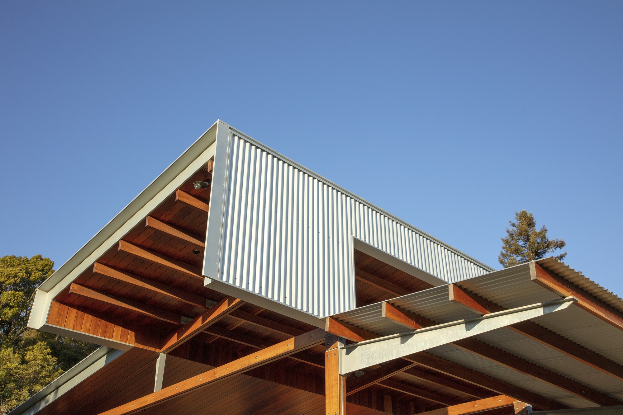 Gallery of Merindah Park House / Richard Cole Architecture - 9