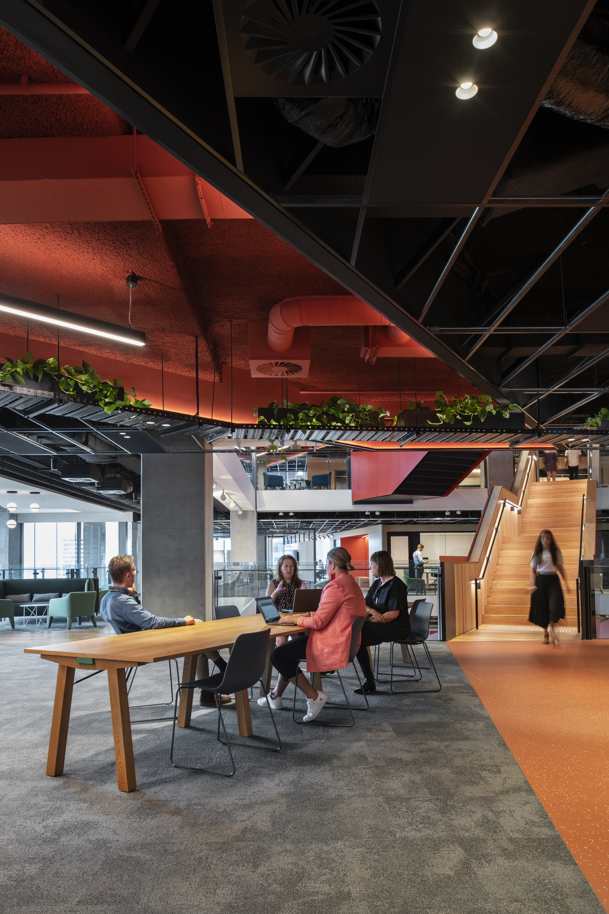 Gallery of NAB 3 Parramatta Square & NAB 2 Carrington St. Offices ...