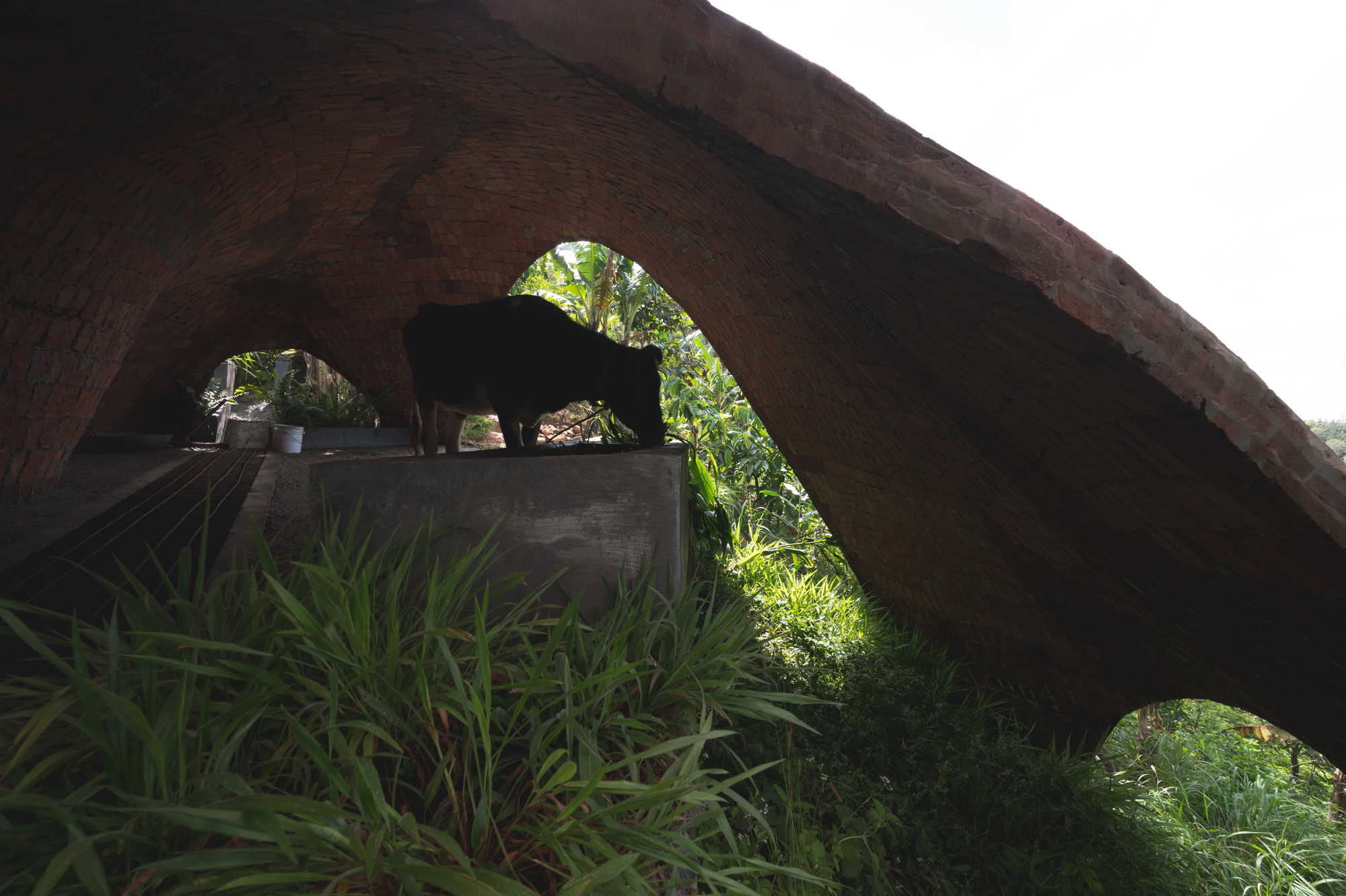 Gallery of Haven The Eternal Experience Pavilion / Earthscape Studio - 8