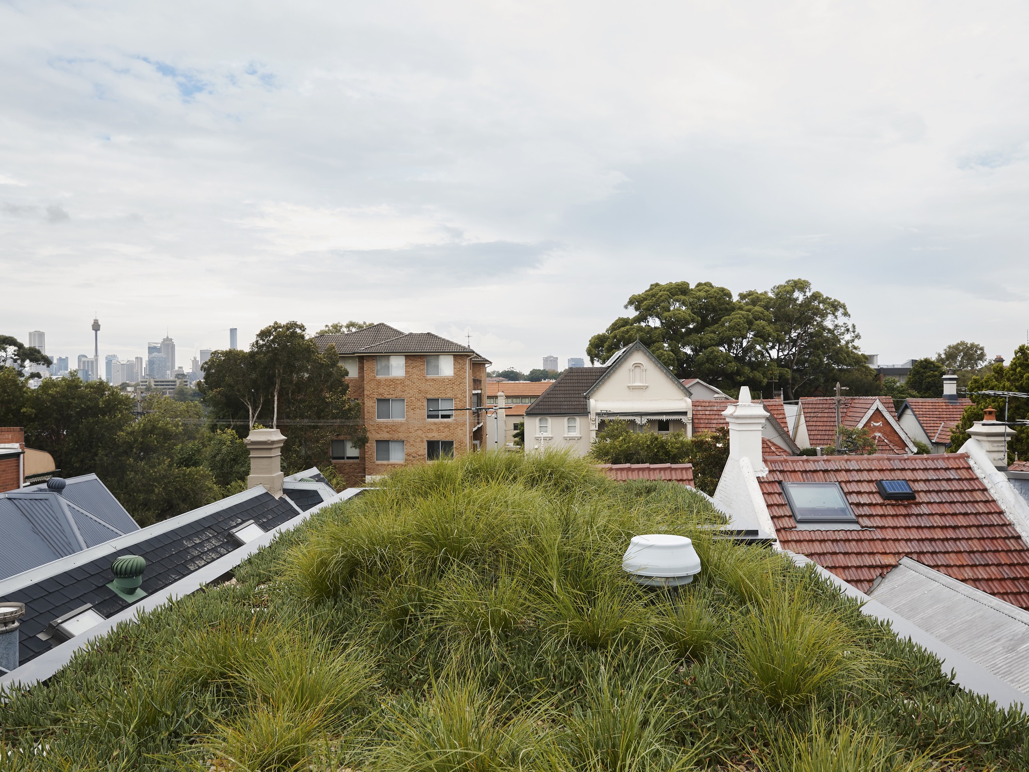 Gallery of Birch Tree House / H&E Architects - 6