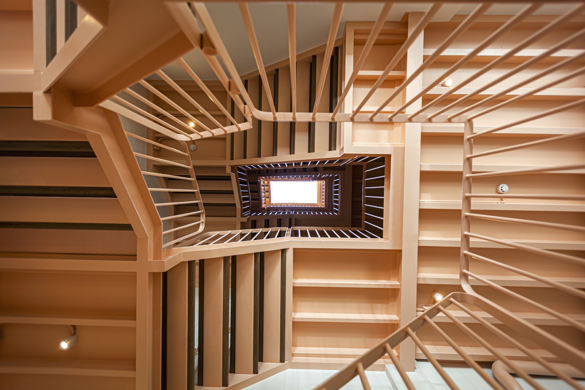 Gallery of Bonsai Hotel / Volume Matrix Studio - 9