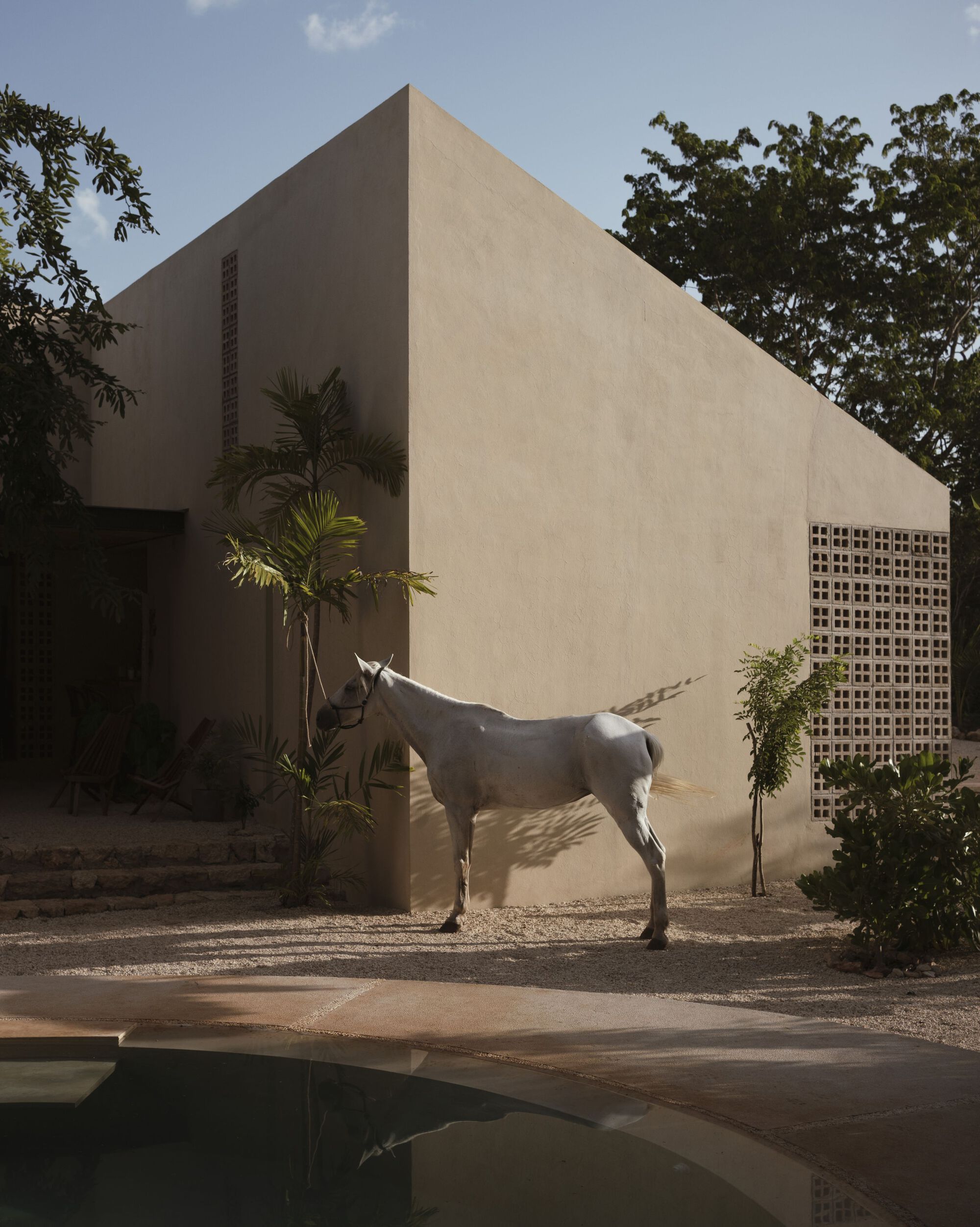 Gallery of Galopina Wild House / TACO taller de arquitectura contextual ...