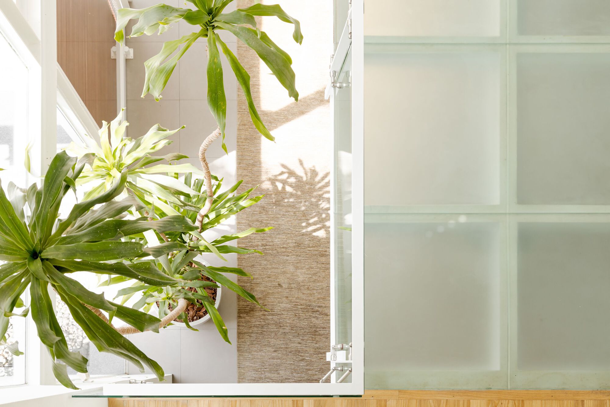 Gallery of Shed House / Consuelo Jorge Arquitetos - 16