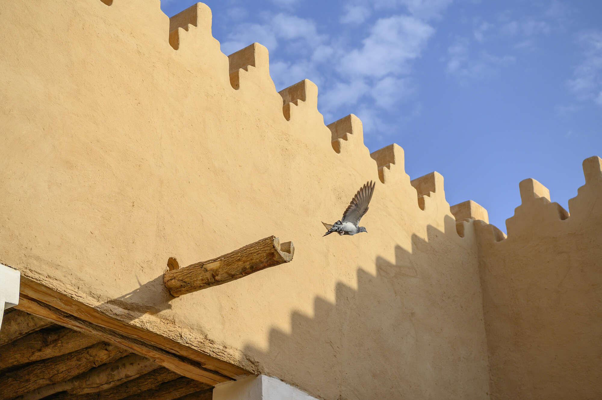 Gallery of Learning from Salmani Architecture: The King Salman Charter ...