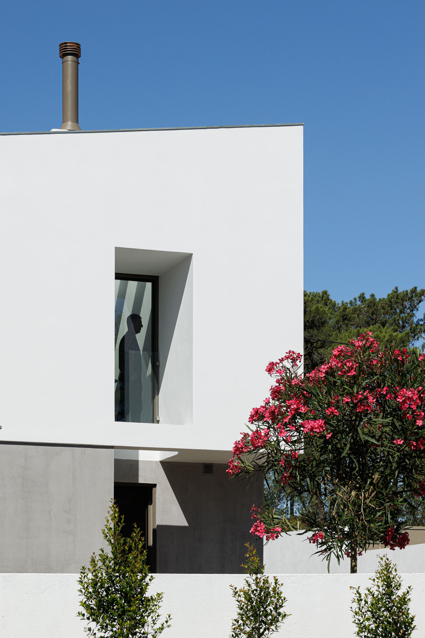 Galeria de Casas do Pinhal / pk Arquitetos - 6