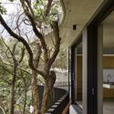 Timbin House / Conrad Gargett | ArchDaily