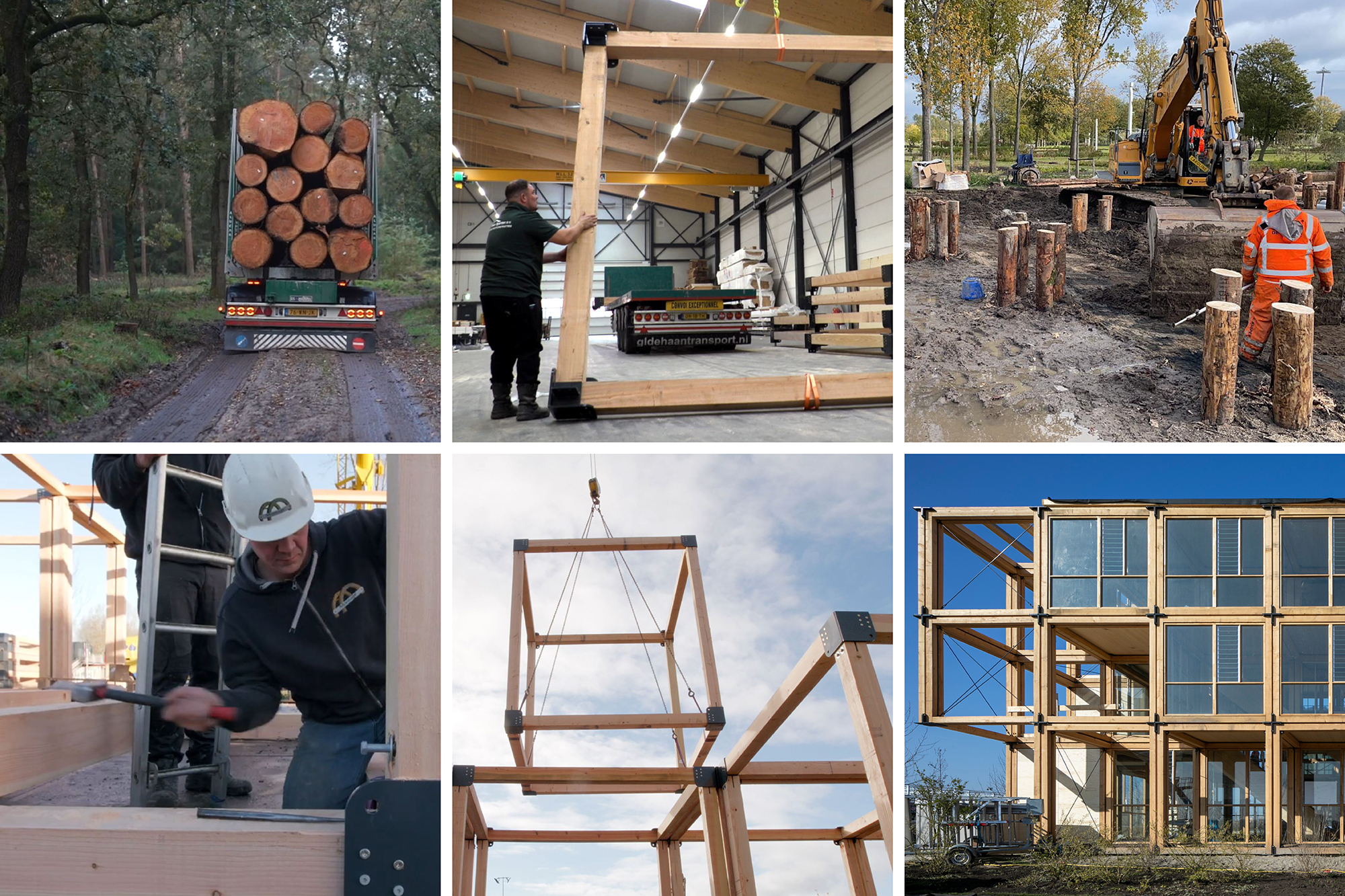 Gallery of The Natural Pavilion / DP6 architectuurstudio - 17