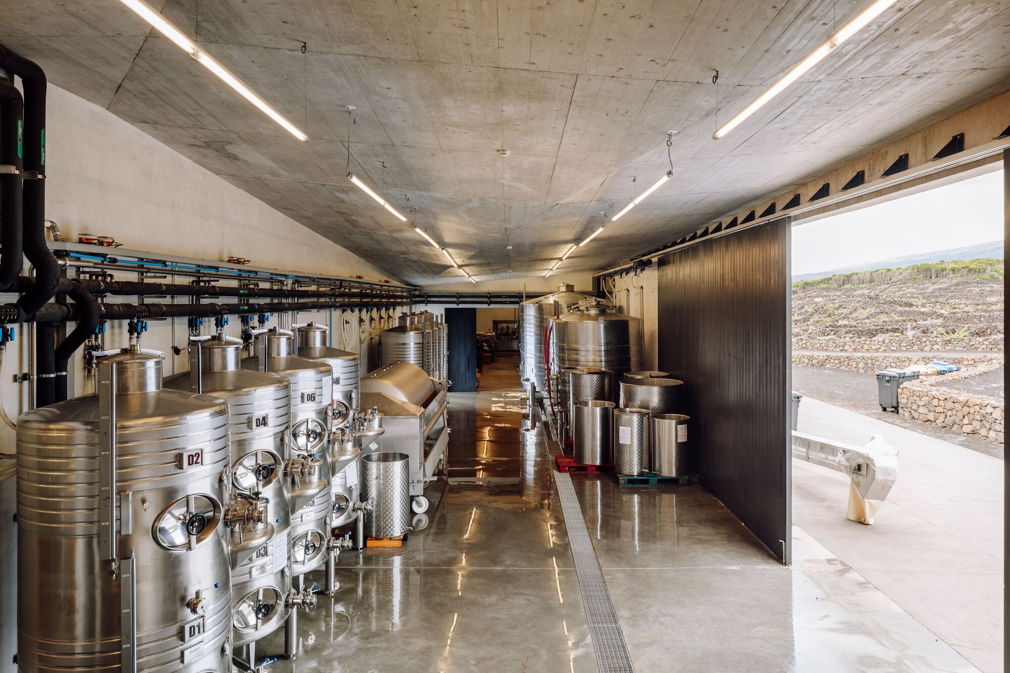 Gallery of Adega Azores Wine Company / SAMI-arquitectos in ...