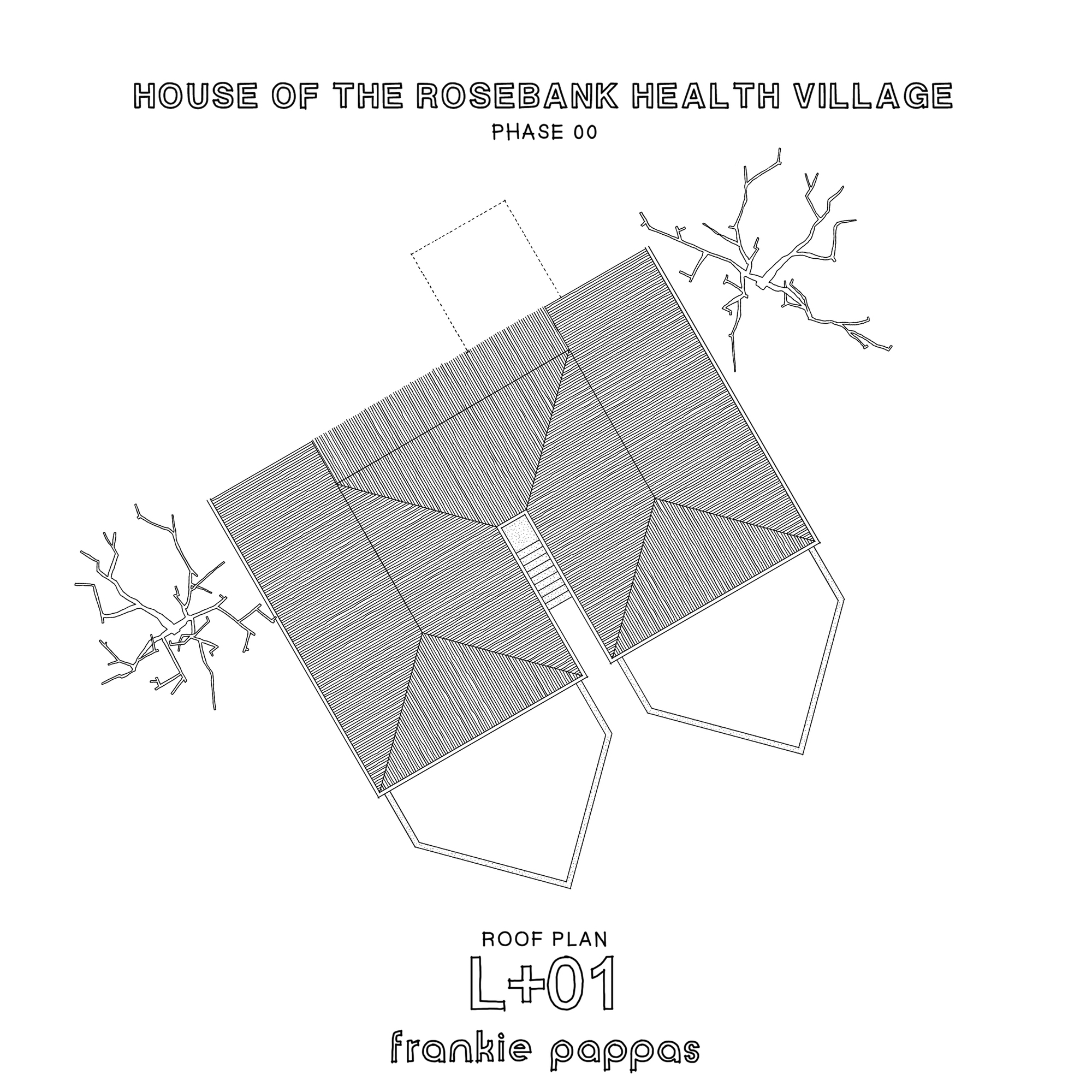 Gallery of House of the Rosebank Health Village / Frankie Pappas - 19