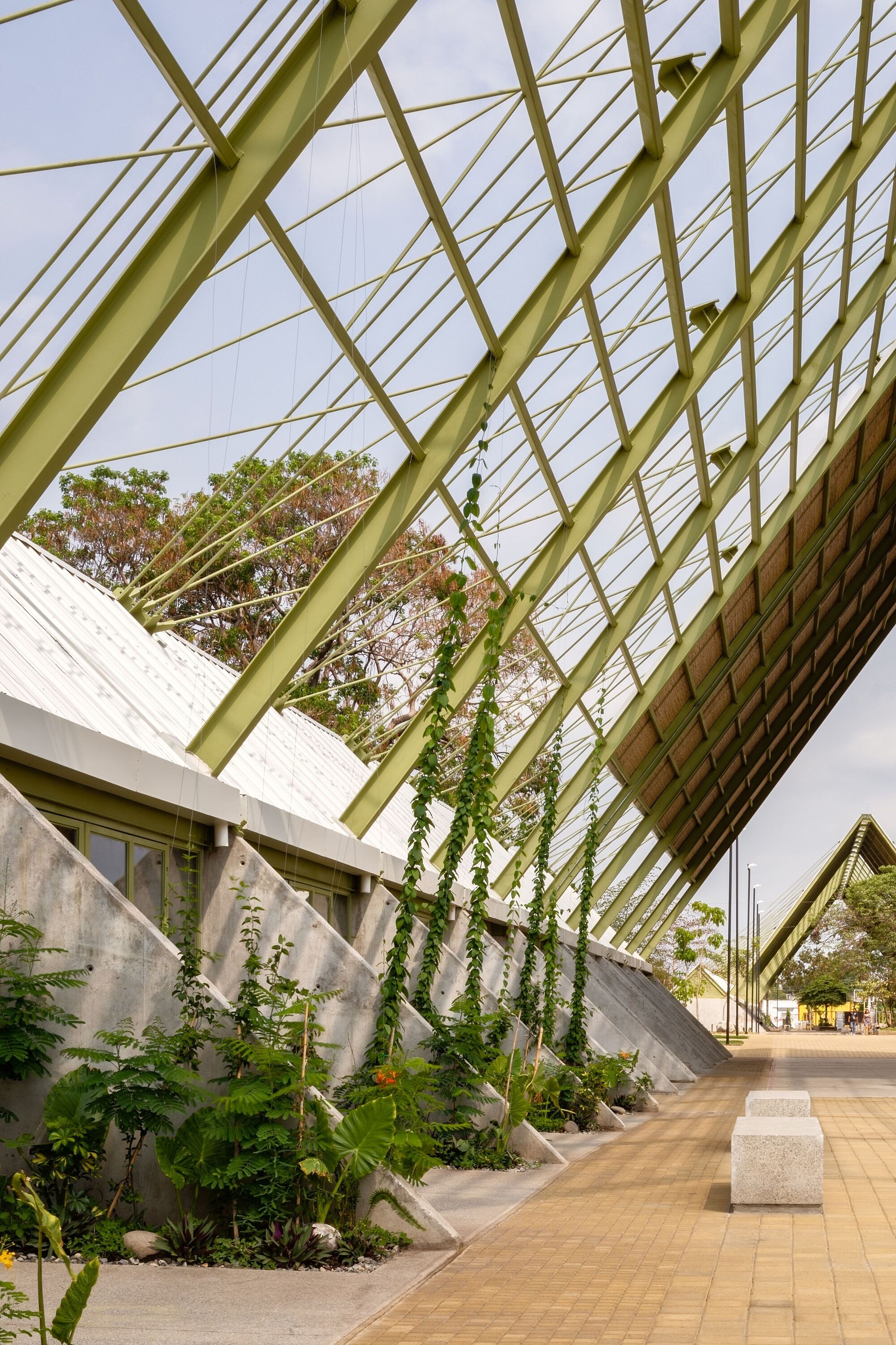 Gallery of Tapachula Station / Colectivo C733 - 2