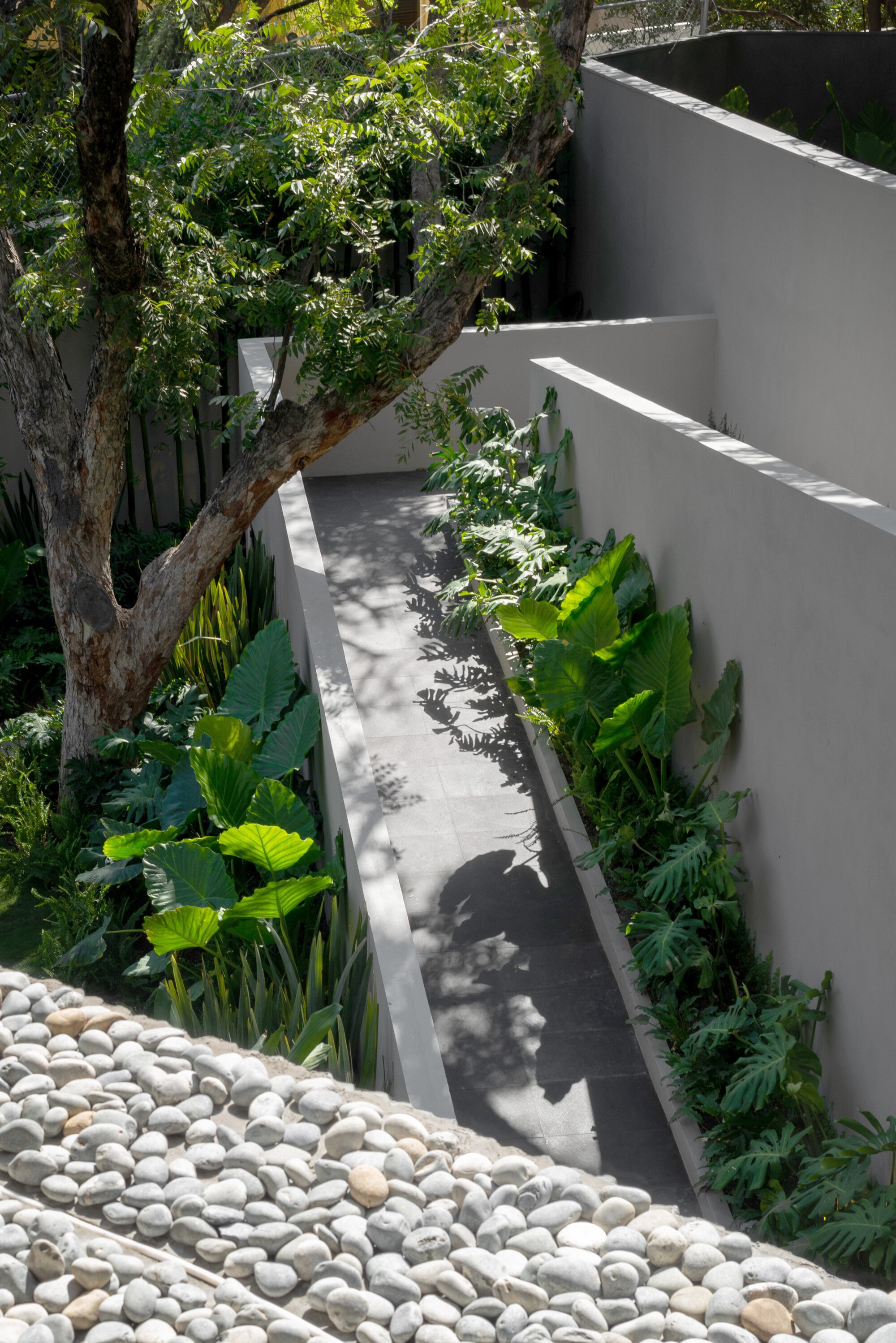 Galería de Alejandro Aravena diseña "Casa Elemental" en Monterrey ...