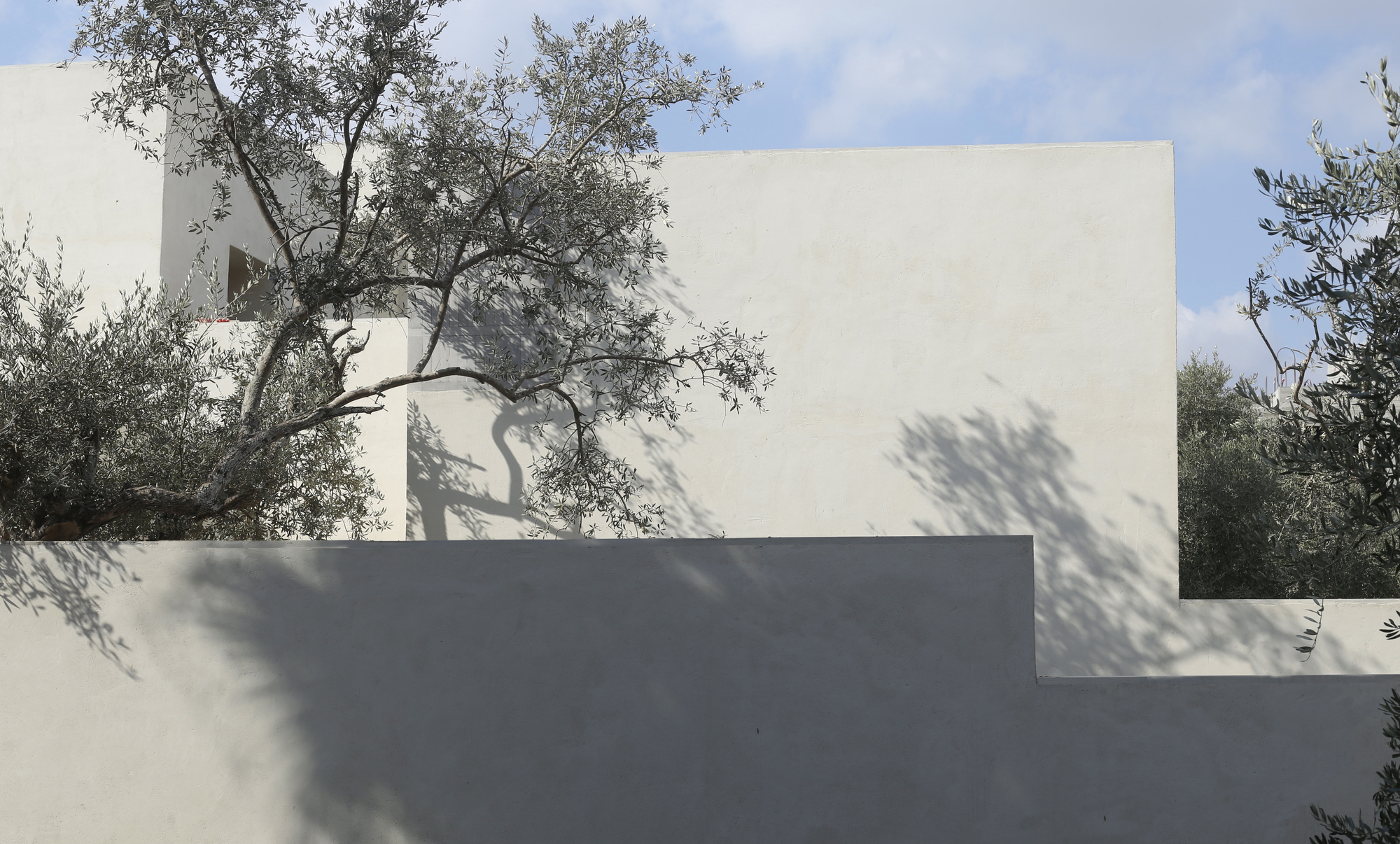 Gallery of 12 Olive Trees House / Elias Khuri Architects - 18