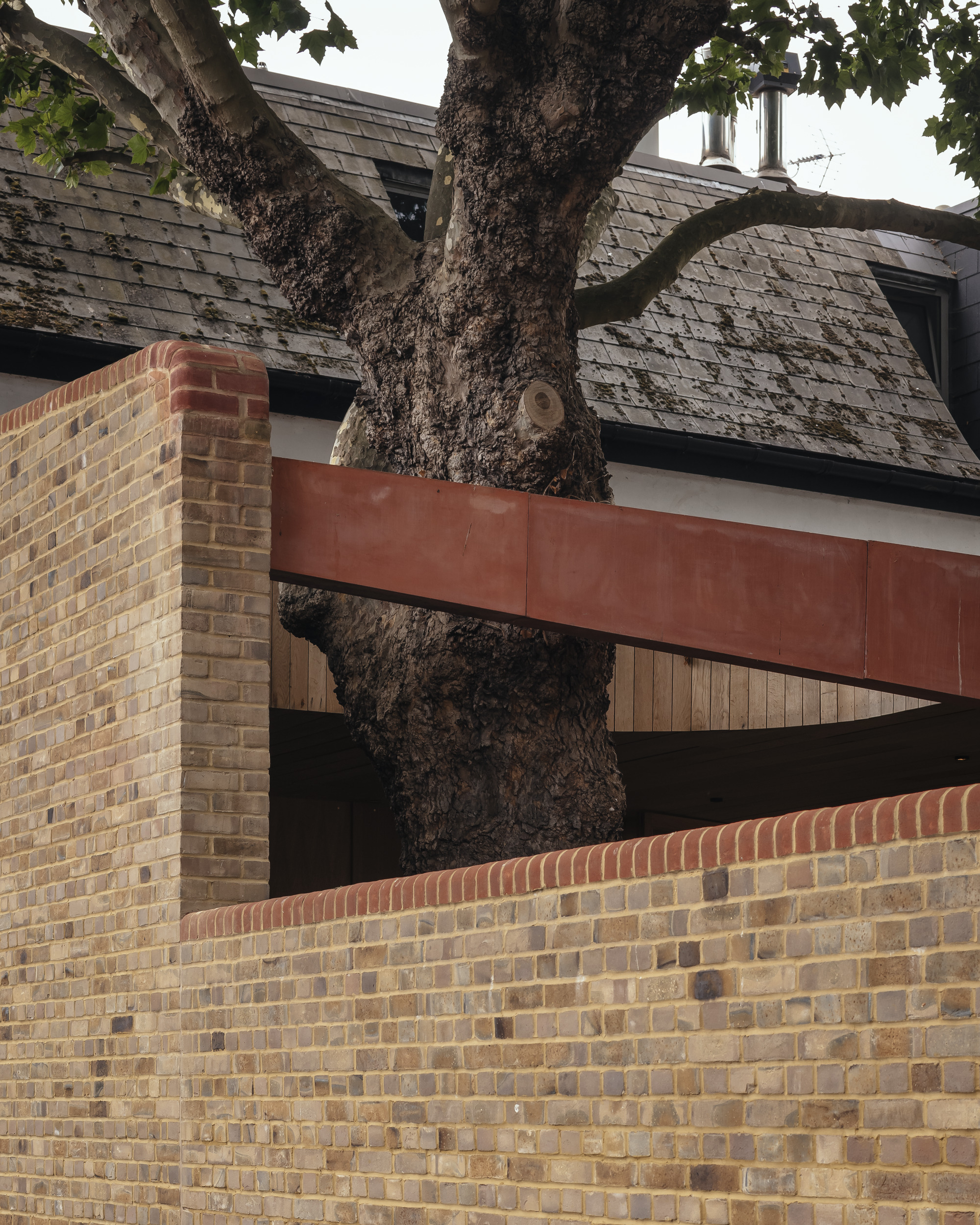 Gallery of Lea Bridge Library Pavilion / Studio Weave - 7
