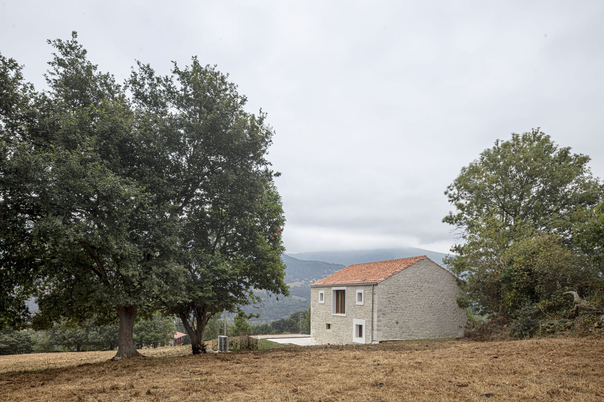 Gallery of Grey House / Jesús Vassallo - 30
