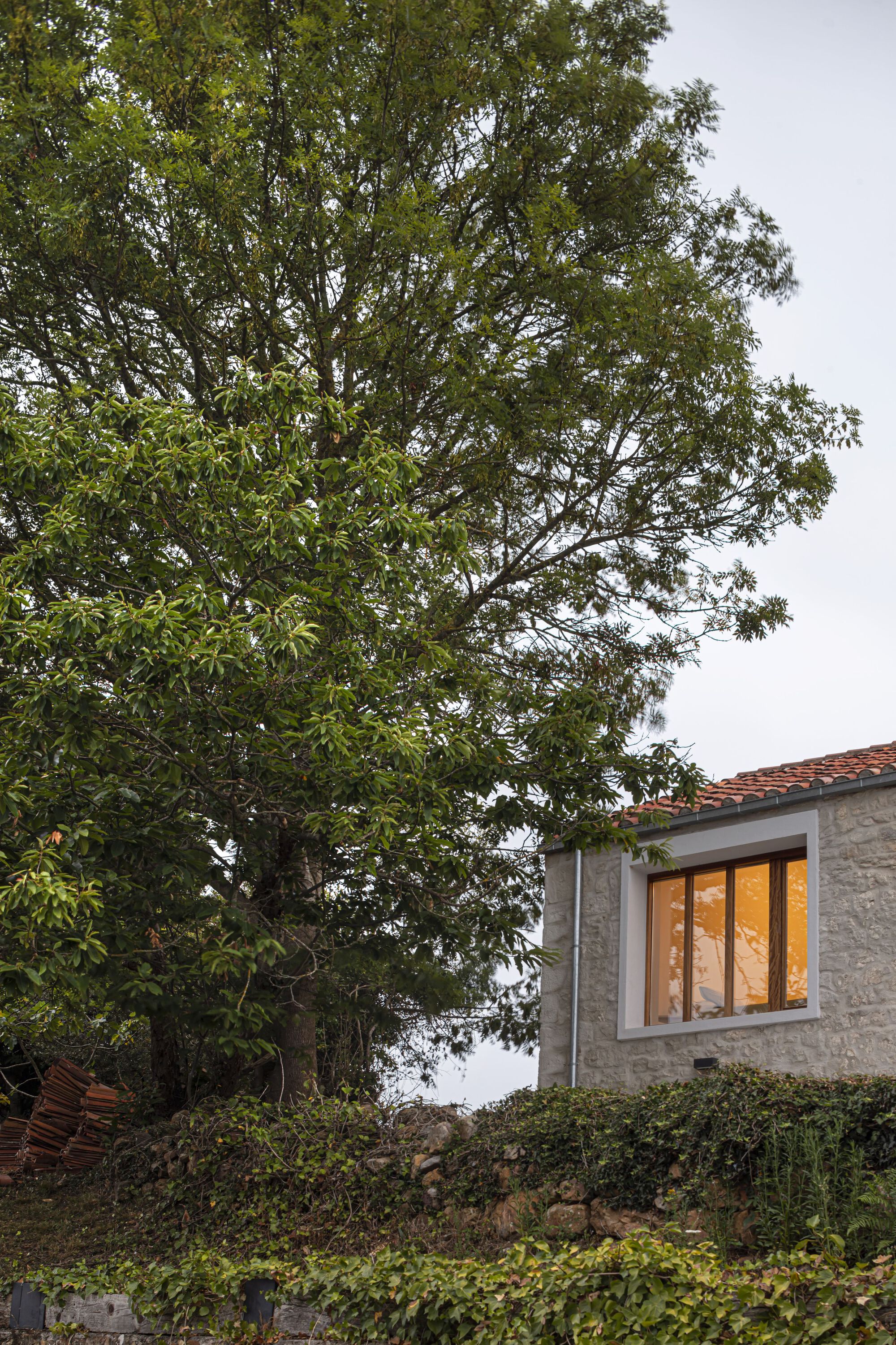 Gallery of Grey House / Jesús Vassallo - 31